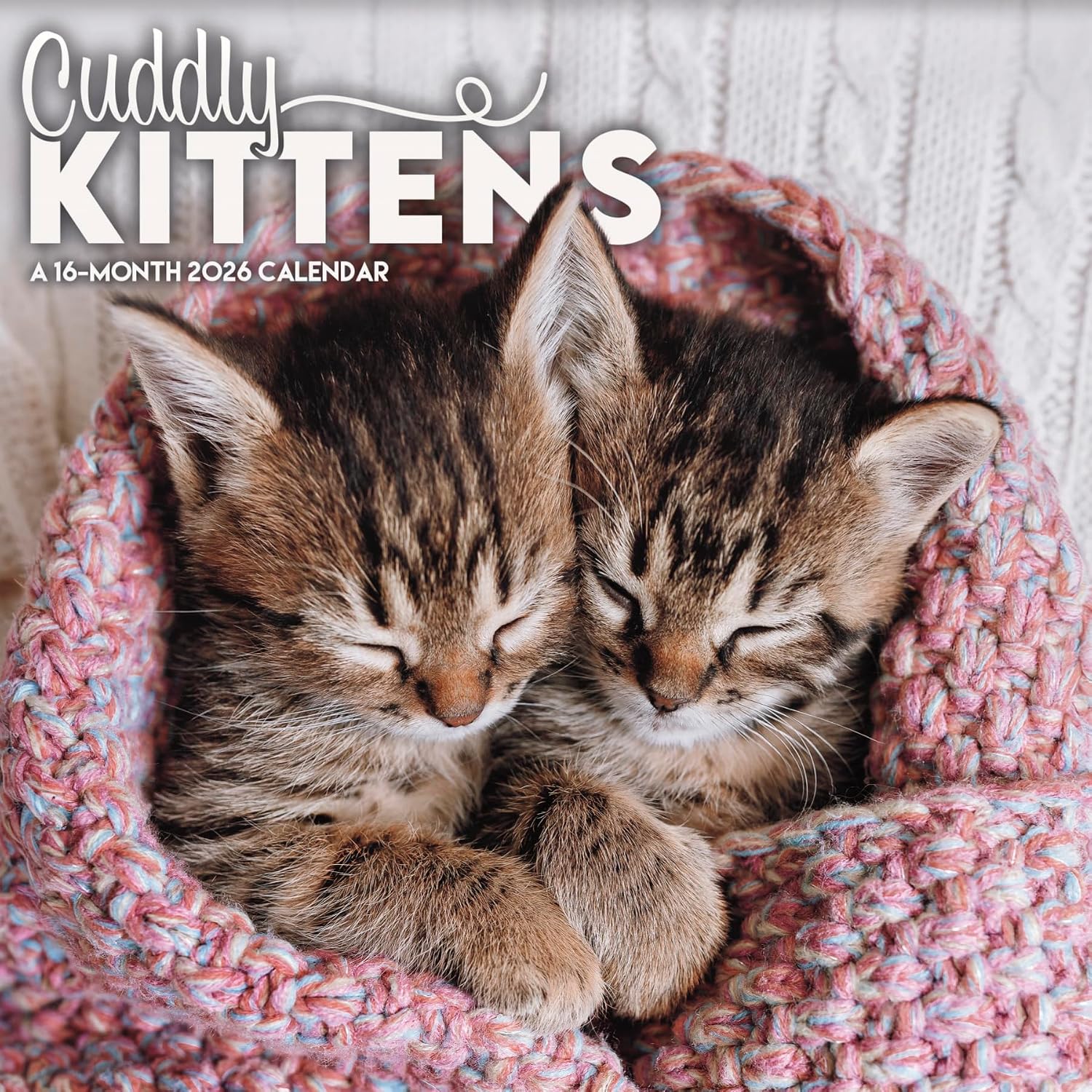 2026 Cuddly Kittens Wall Calendar: Trends International: 9798888285039 ...