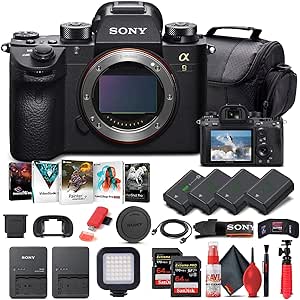 Amazon.com : Sony Alpha a9 II Mirrorless Digital Camera (Body Only) (ILCE9M2/B) + 2 x 64GB ...