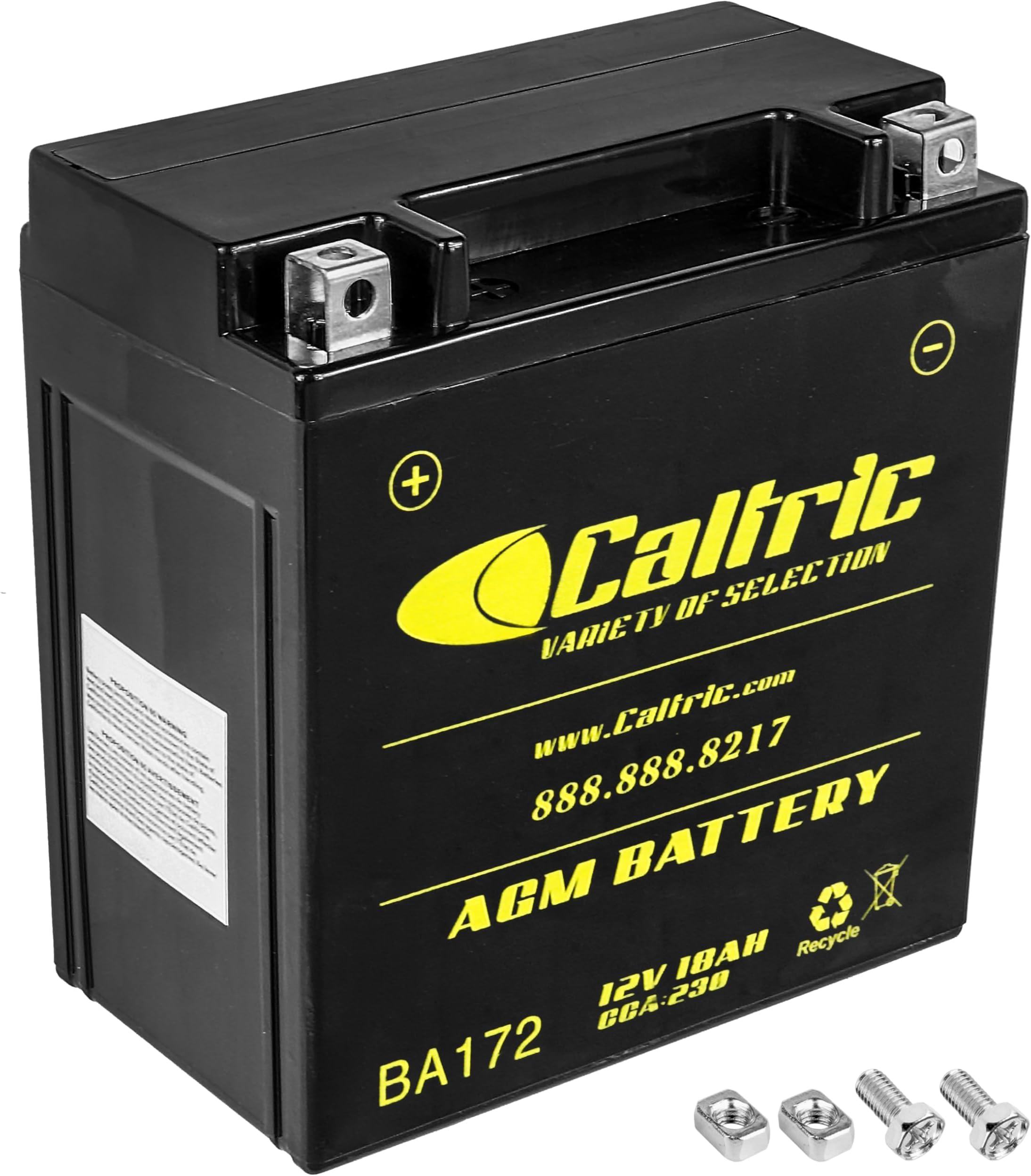 Amazon.com: Caltric Agm Battery Compatible with Polaris 4012638 ...