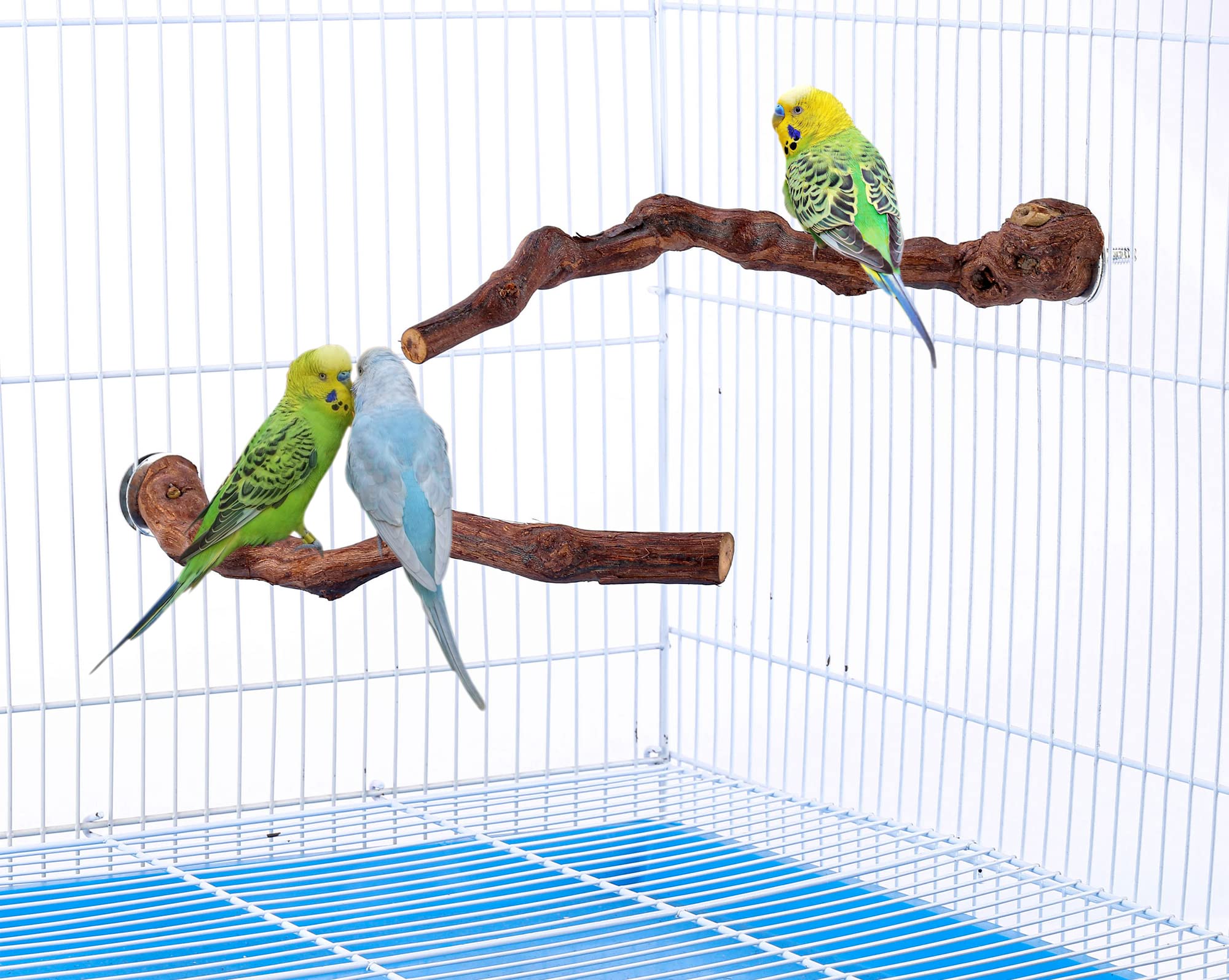 Bird Cage Stand Mogoko Natural Wood Bird Perch Stand - Hanging Multi ...