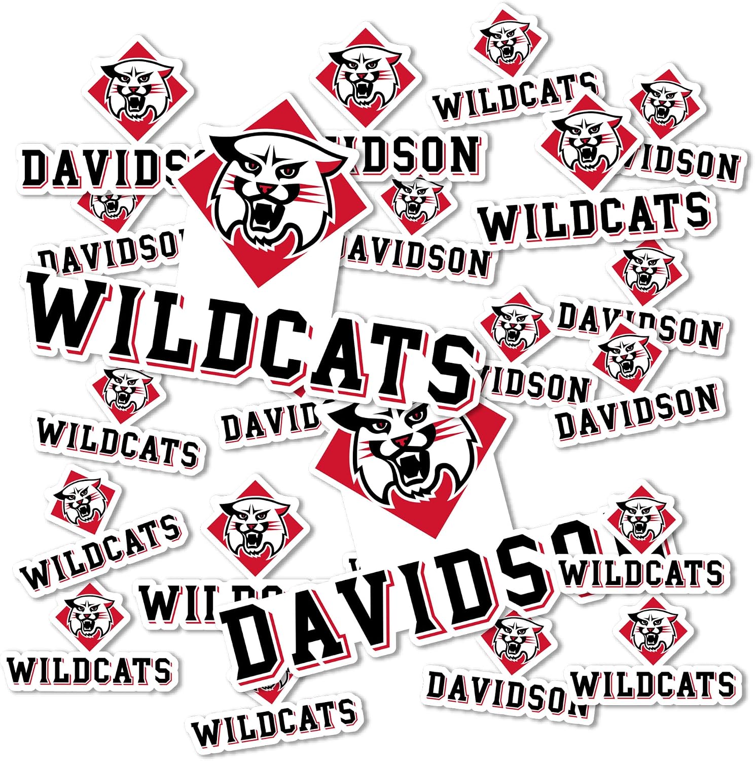 Amazon.com: Desert Cactus Davidson College Sticker Wildcats Vinyl ...