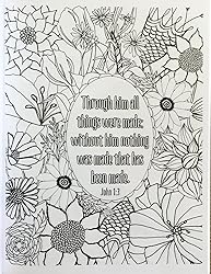 Amazon.com: Color God's Creation (Color the Bible): 9780736968843 ...