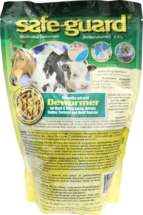 The 6 Best Chicken Wormers - BestForPets.org