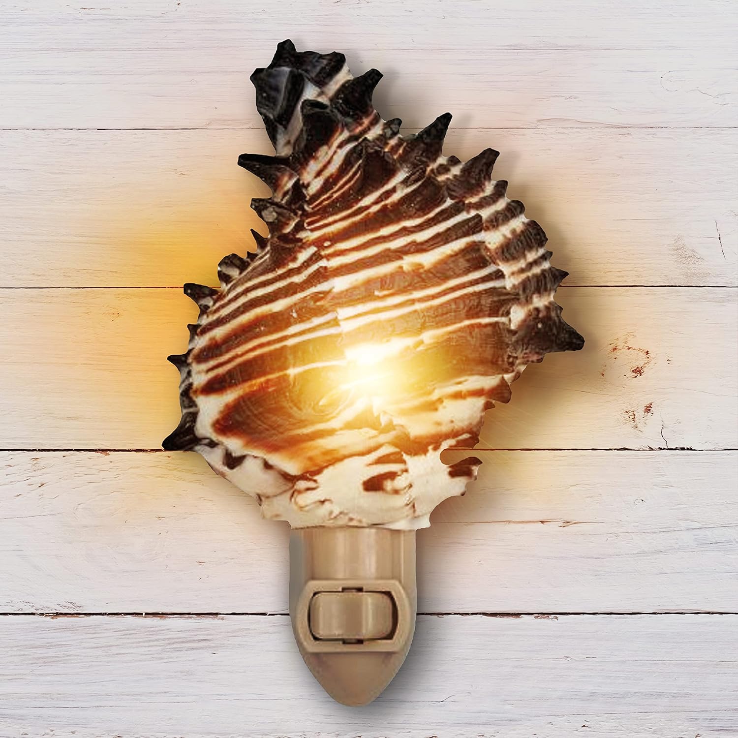 Tumbler Home Shell Night Light, Seashell Nightlight for Bathroom ...