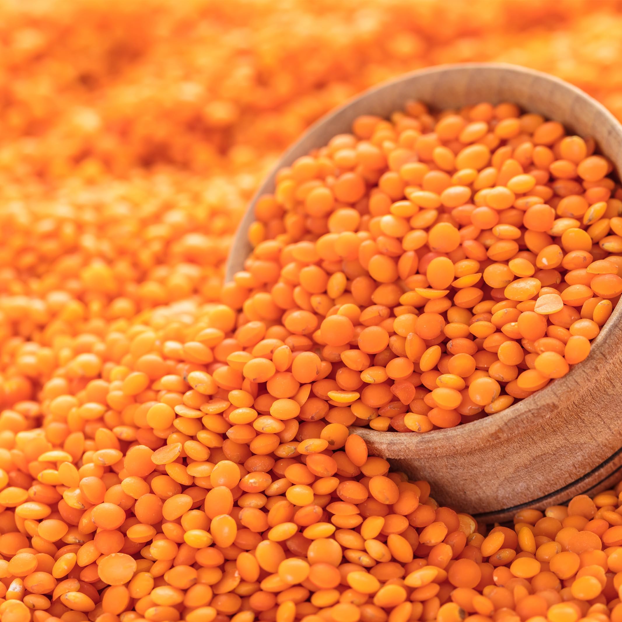 Amazon.co.jp: Red Lentil Lentil 2.2 lbs (1 kg), Commercial Use, Dried ...