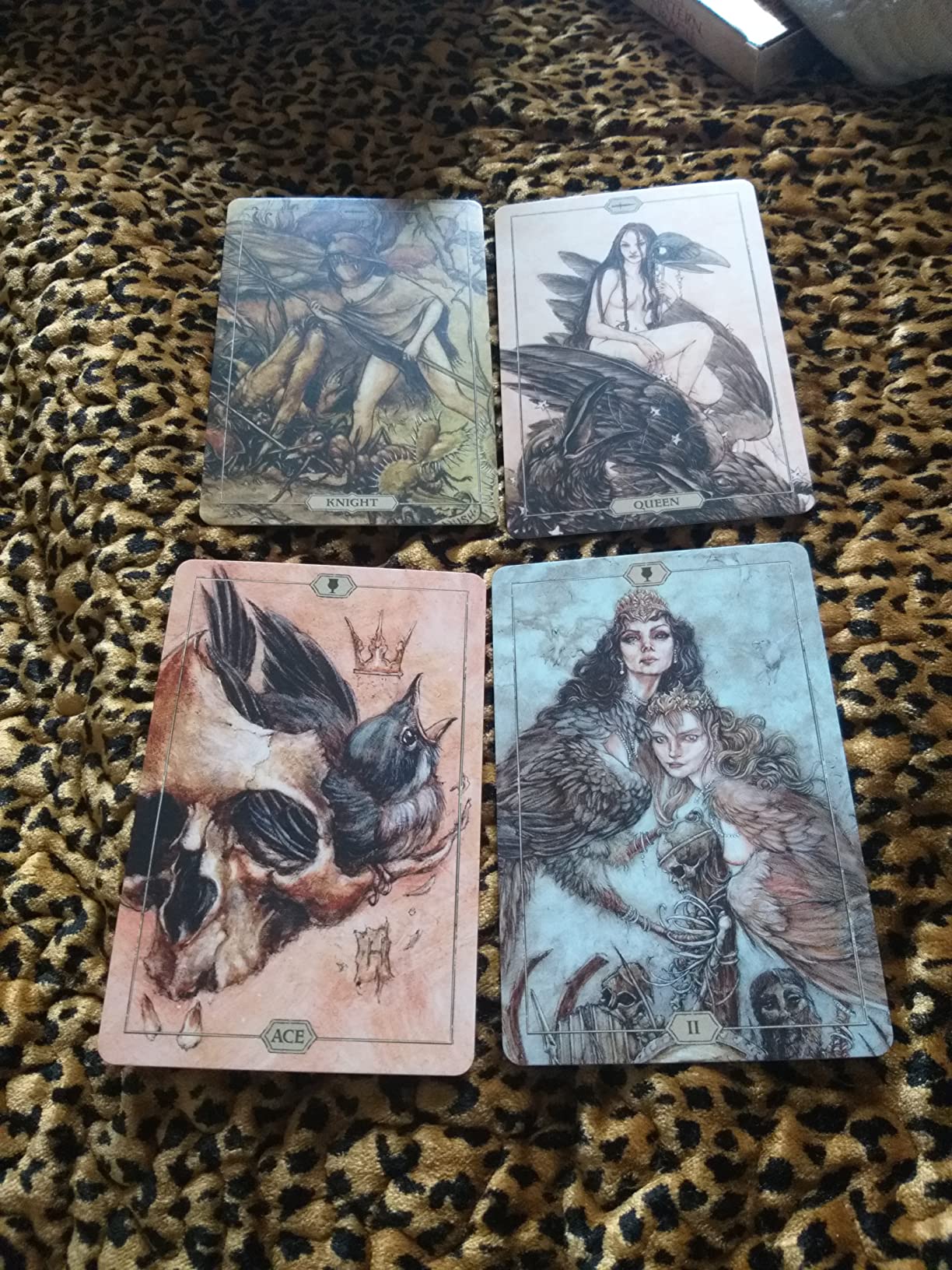 Amazon.fr - Hush Tarot - Hush, Jeremy - Livres