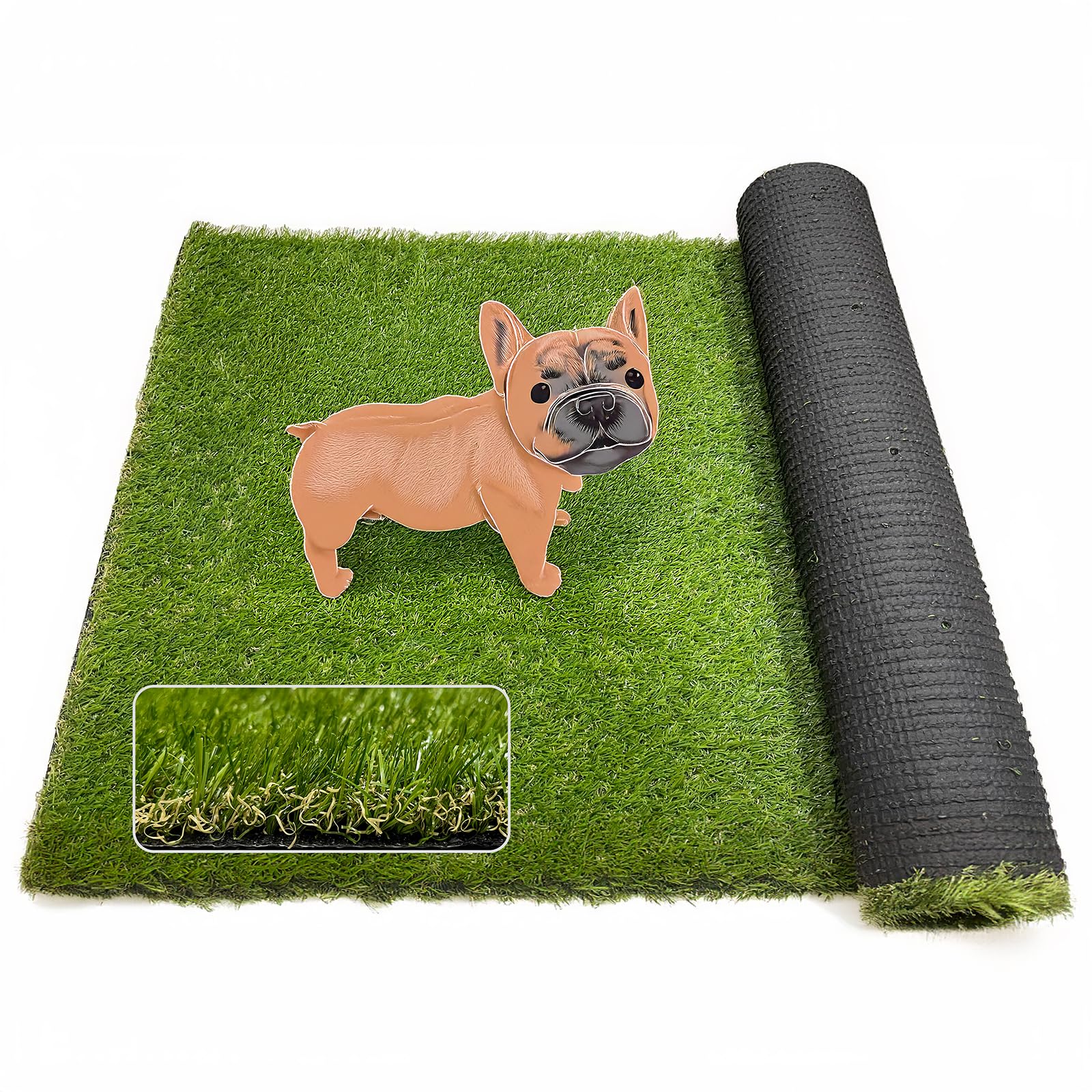 Amazon.com: EterniGreen Realistic Artificial Grass, Pet Turf Grass ...