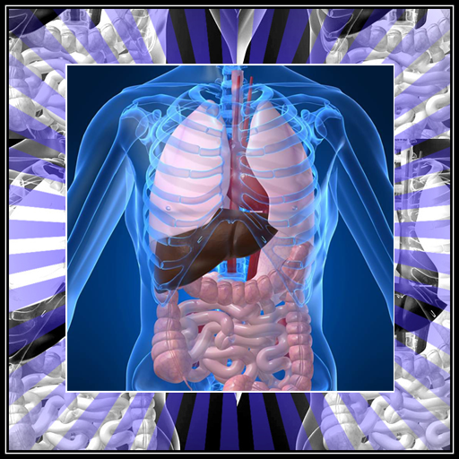 Body Organs Facts - App on Amazon Appstore