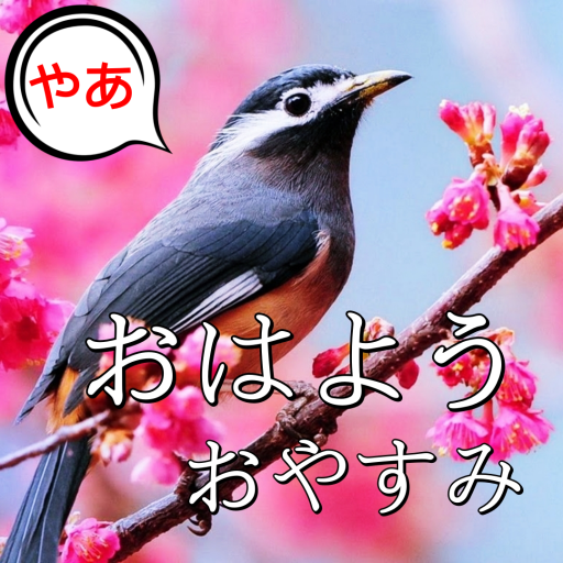 Japanese Good Morning Chinese New Year Greeting Card As Gong Xi Fa Cai