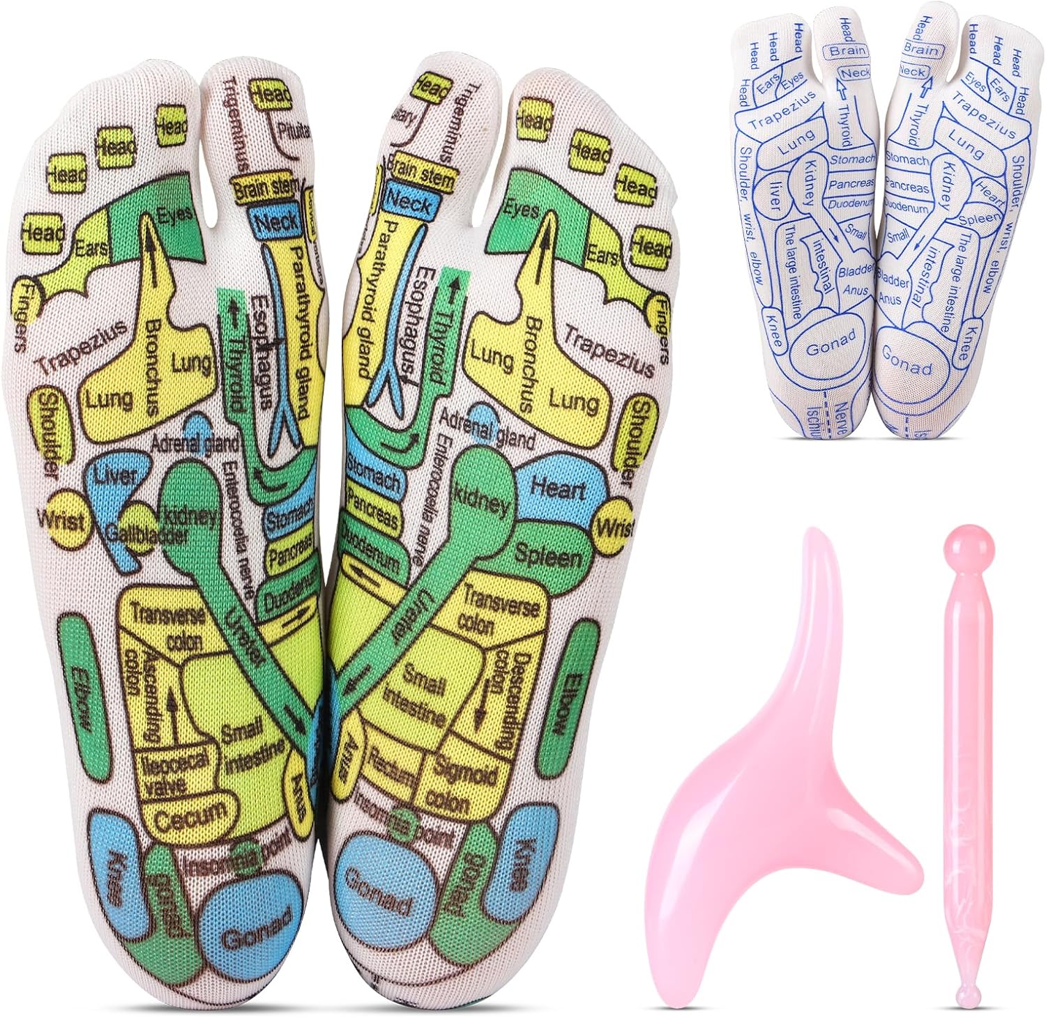 Amazon.com: Worive Reflexology Socks Set with Tools Pink, 2 Pairs Chiro ...