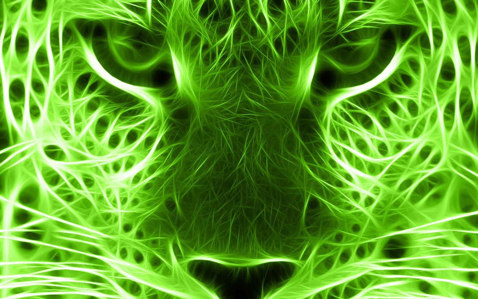 Rabbit Channel - App on Amazon Appstore