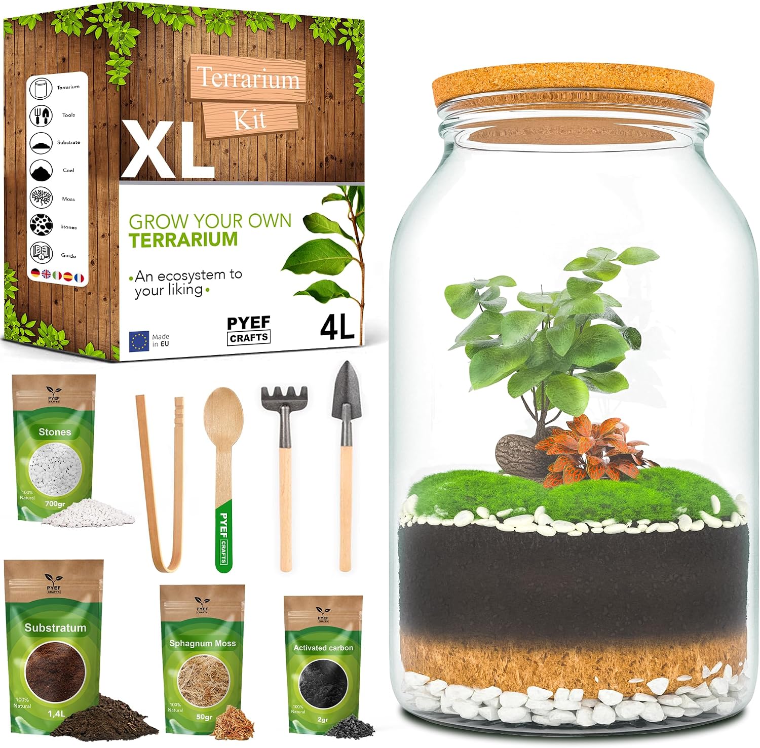 DIY Terrarium Kit XL PYEF CRAFTS - 4L Glass Terrarium Starter Set for ...