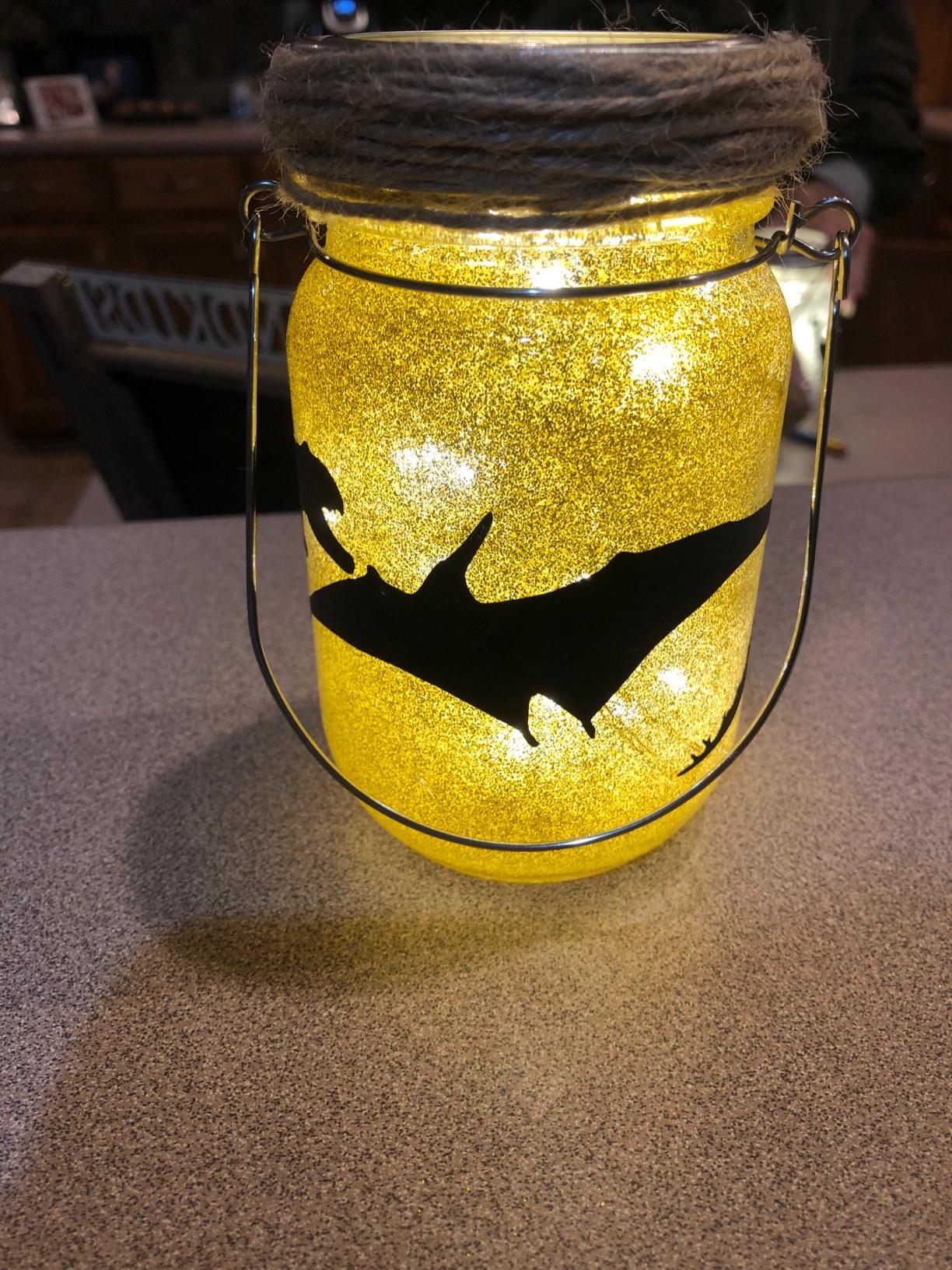 Amazon.com: Onnetila Fairy Lantern Craft Kit for Girls and Boys (2 Pack ...