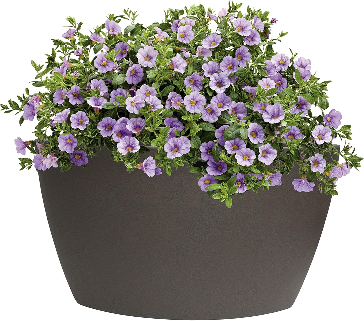 Amazon.com : Algreen Hampton Corner Planter, Brownstone : Patio, Lawn ...