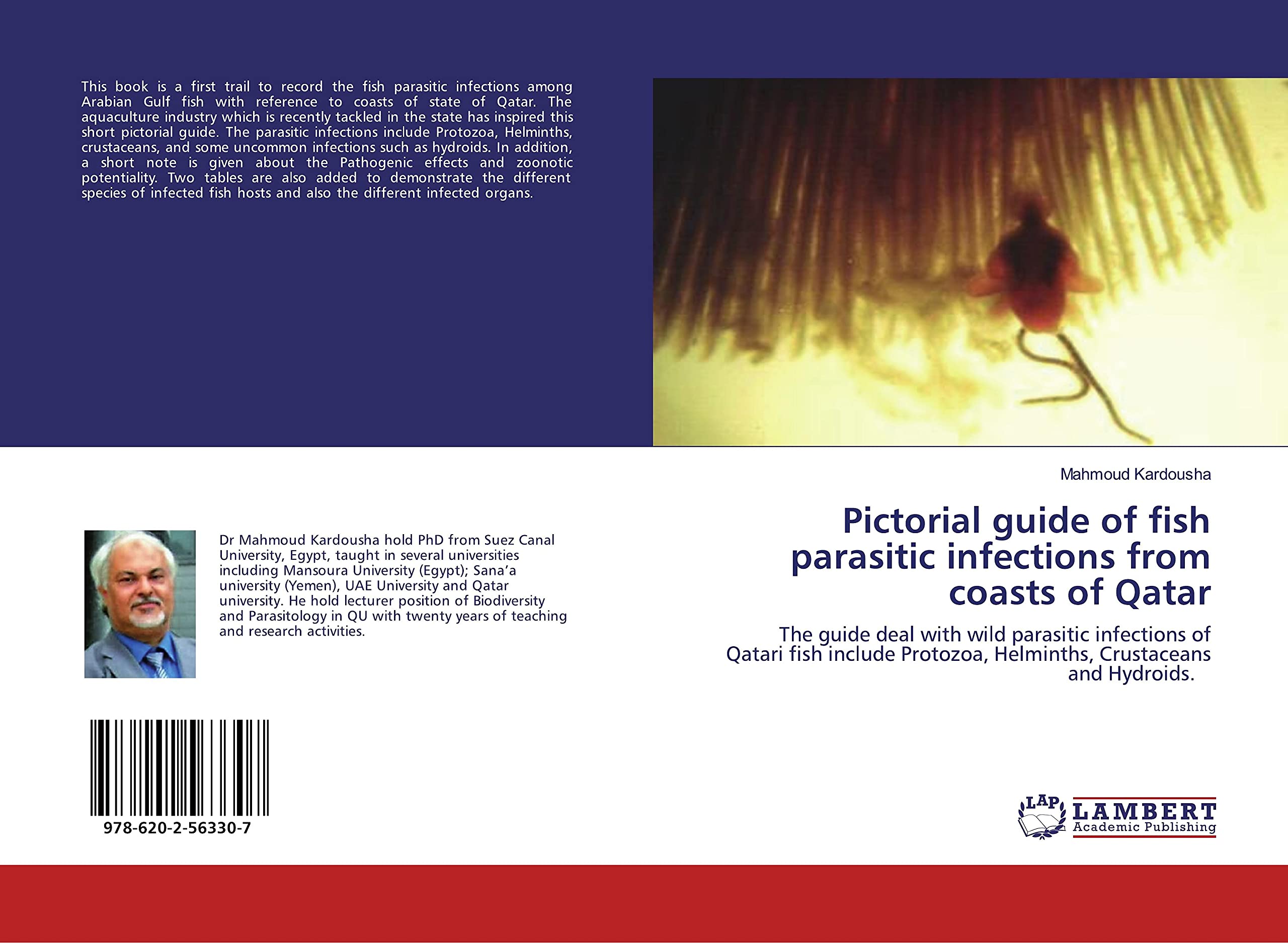 Pictorial Guide Of Fish Parasitic Infections From Coasts Of Qatar ...