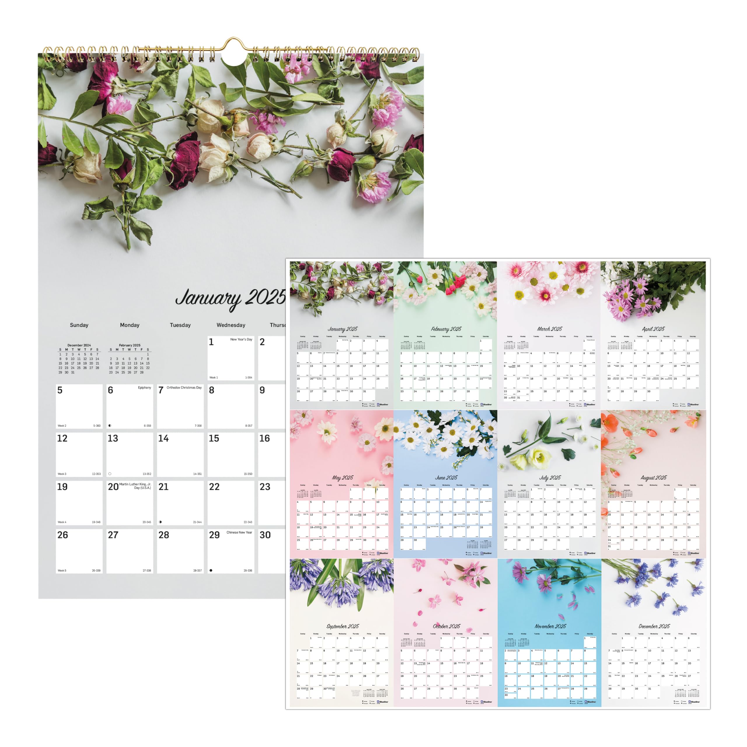 Amazon.com: Blueline® 2025 Colorful Monthly Wall Calendar, 12 Months ...