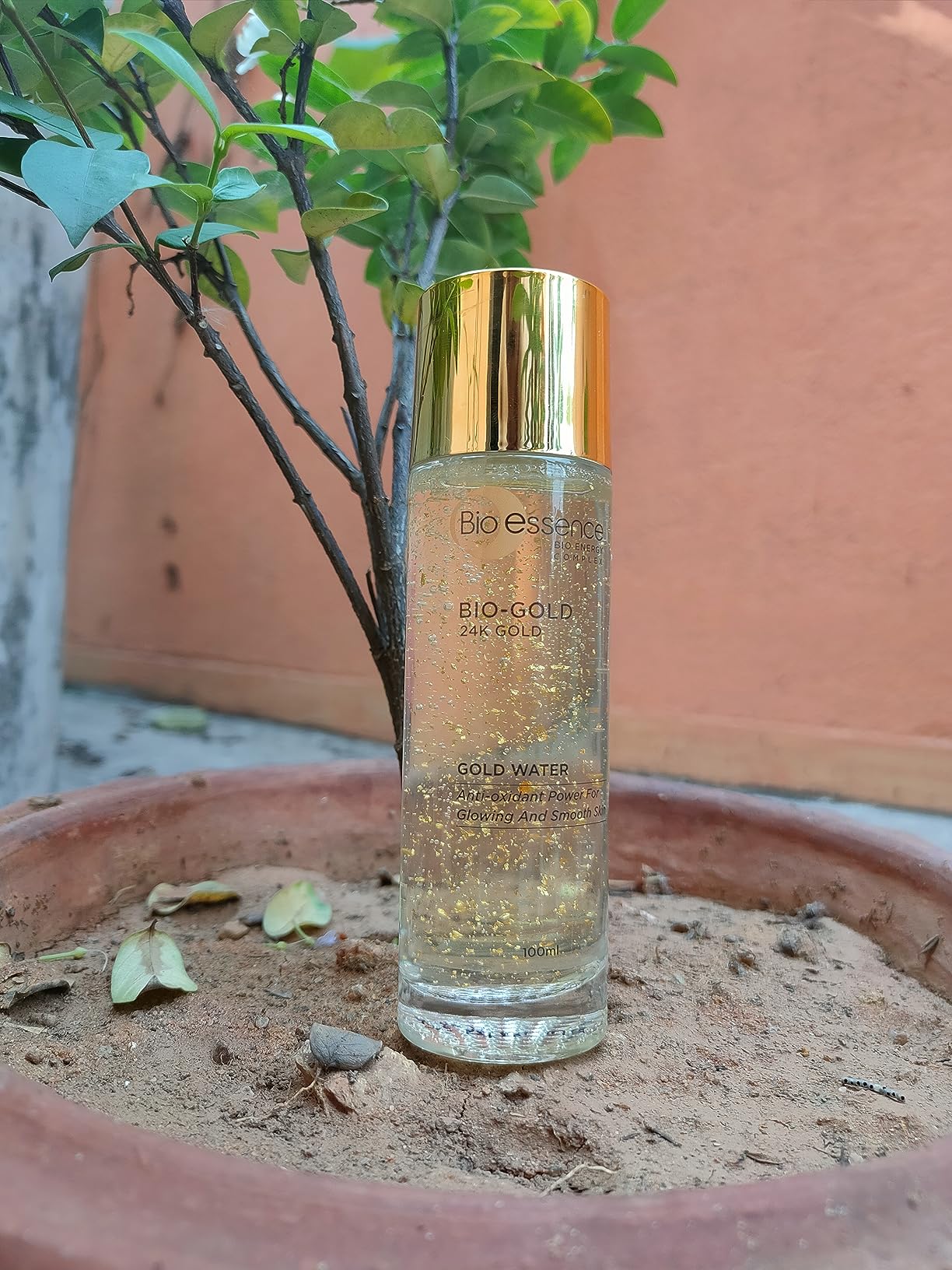 Bio-essence Bio-Gold Gold Water Essence (Pack of 100 ml) : Amazon.in ...