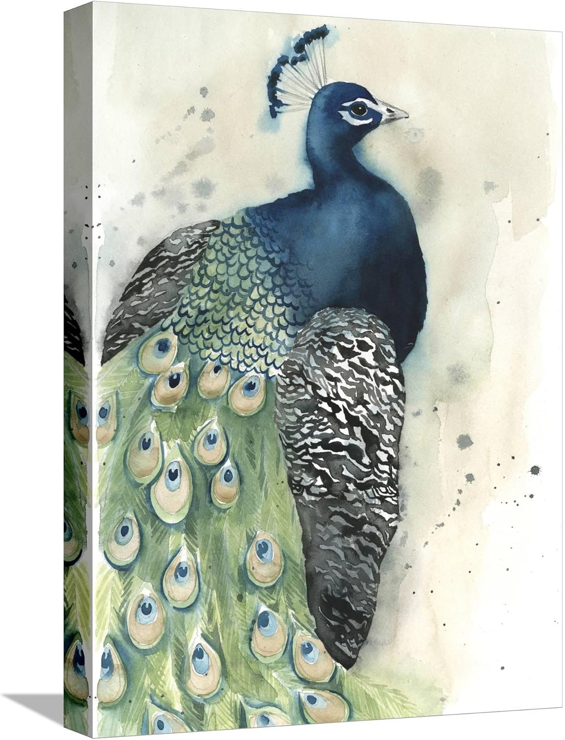 Amazon.com: ART.COM Canvas Wall Art Prints Watercolor Peacock Portrait ...