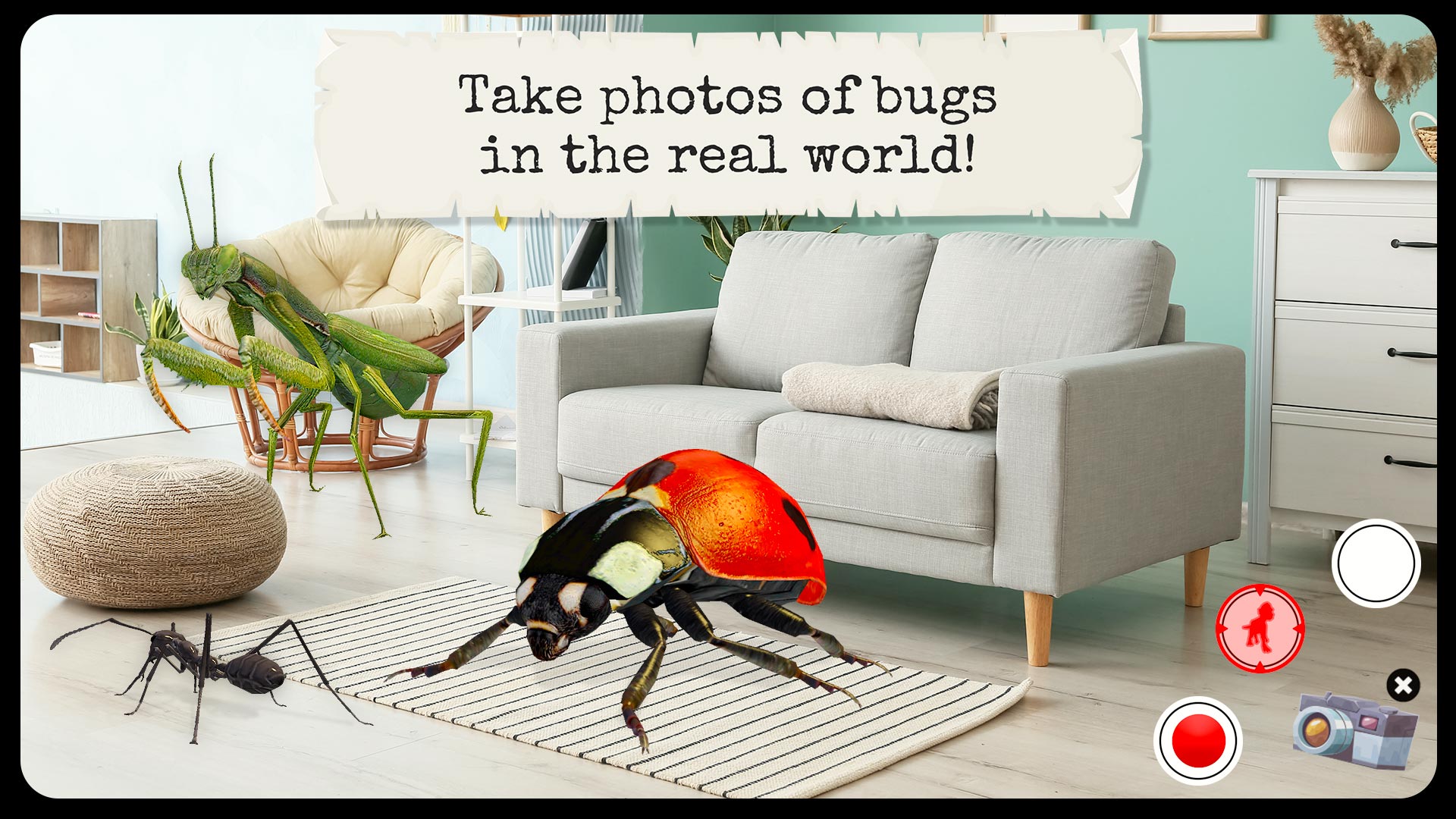 Bugs & Insects VR/AR Kid Game - App on Amazon Appstore