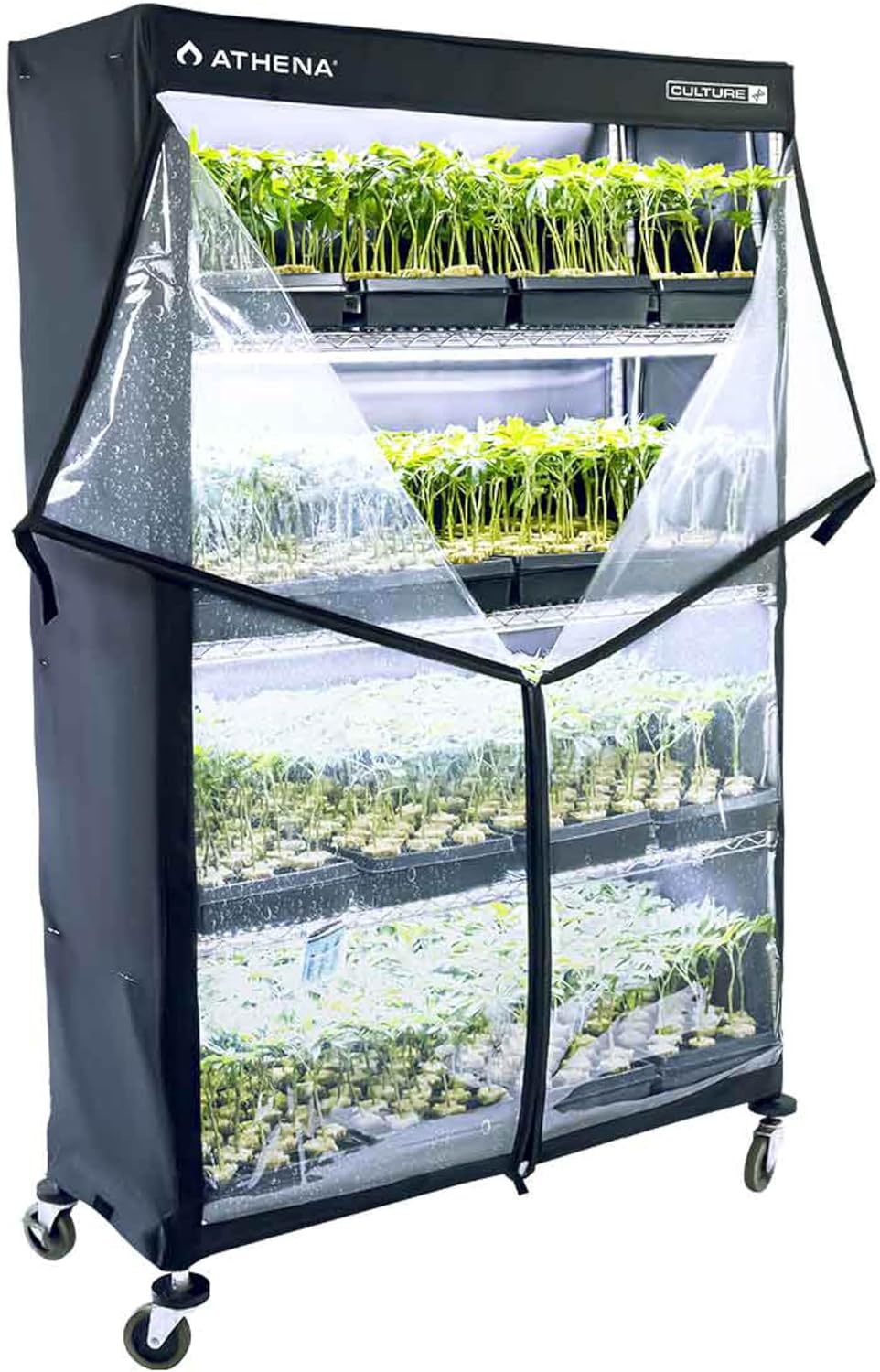 Amazon.com: Athena VPDOME Cloning Rack Cover Shelf Accessory | Durable ...