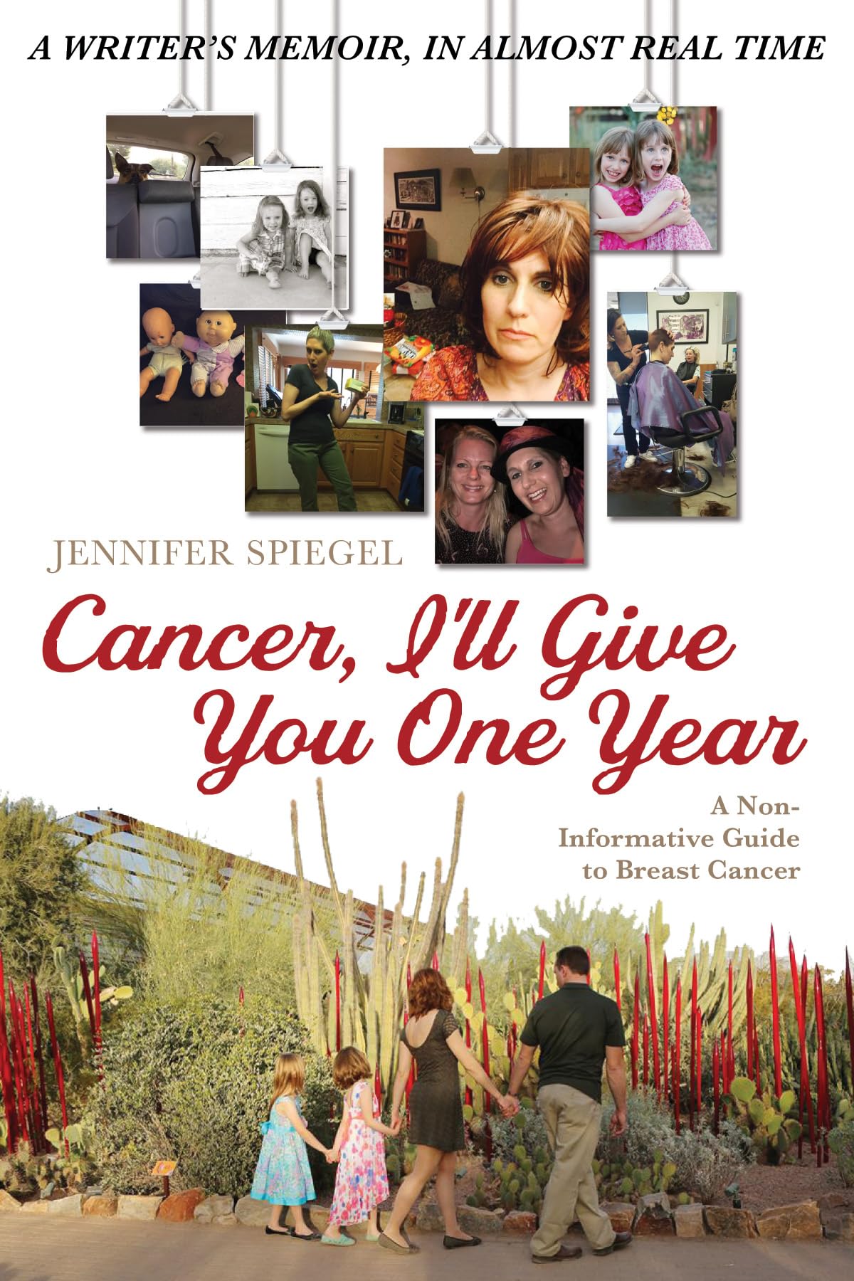 Cancer, I'll Give You One Year: A Non-Informative Guide to Breast ...