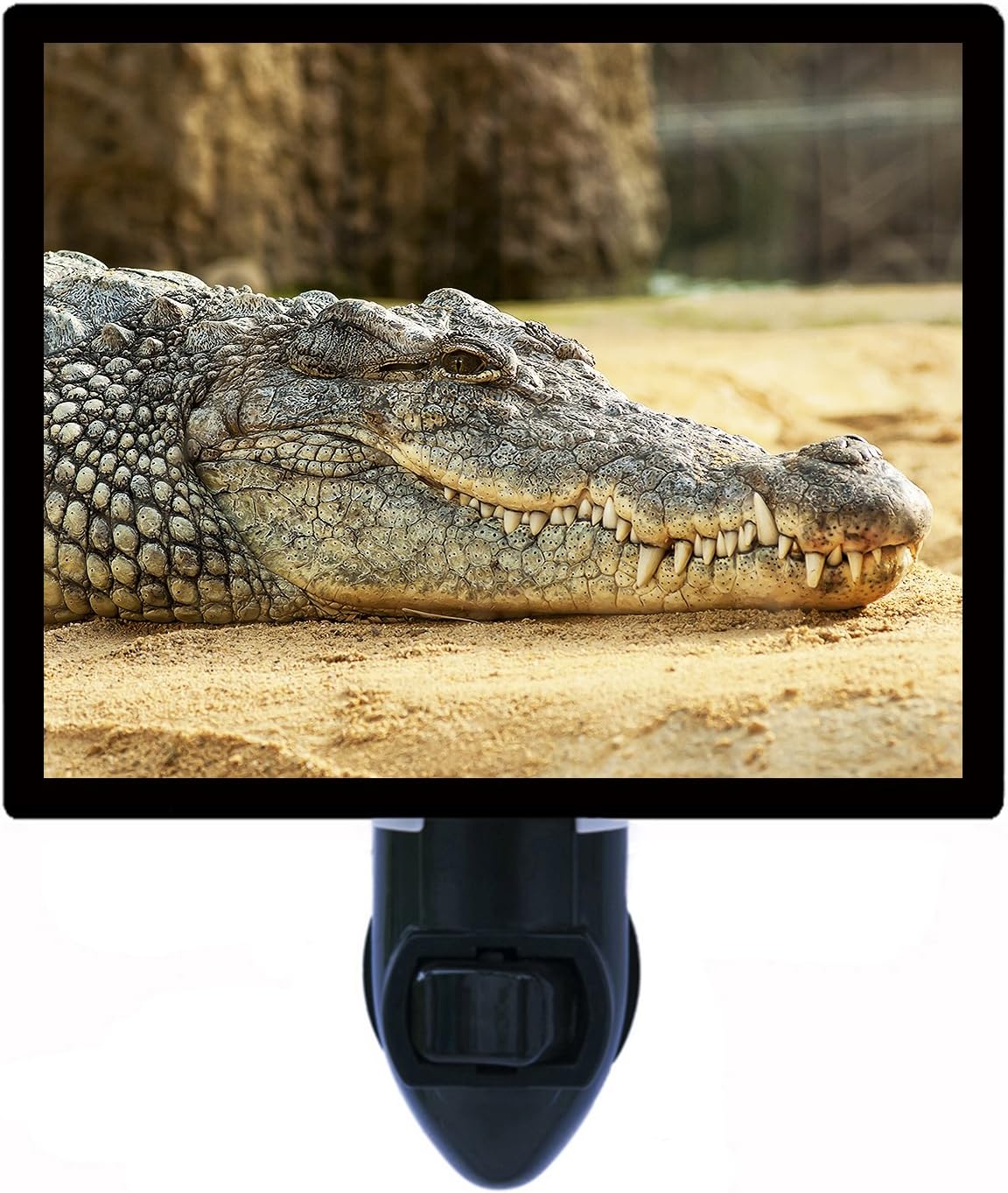 Night Light, Crocodile, Alligator, Reptile, Animals LED Night Light ...