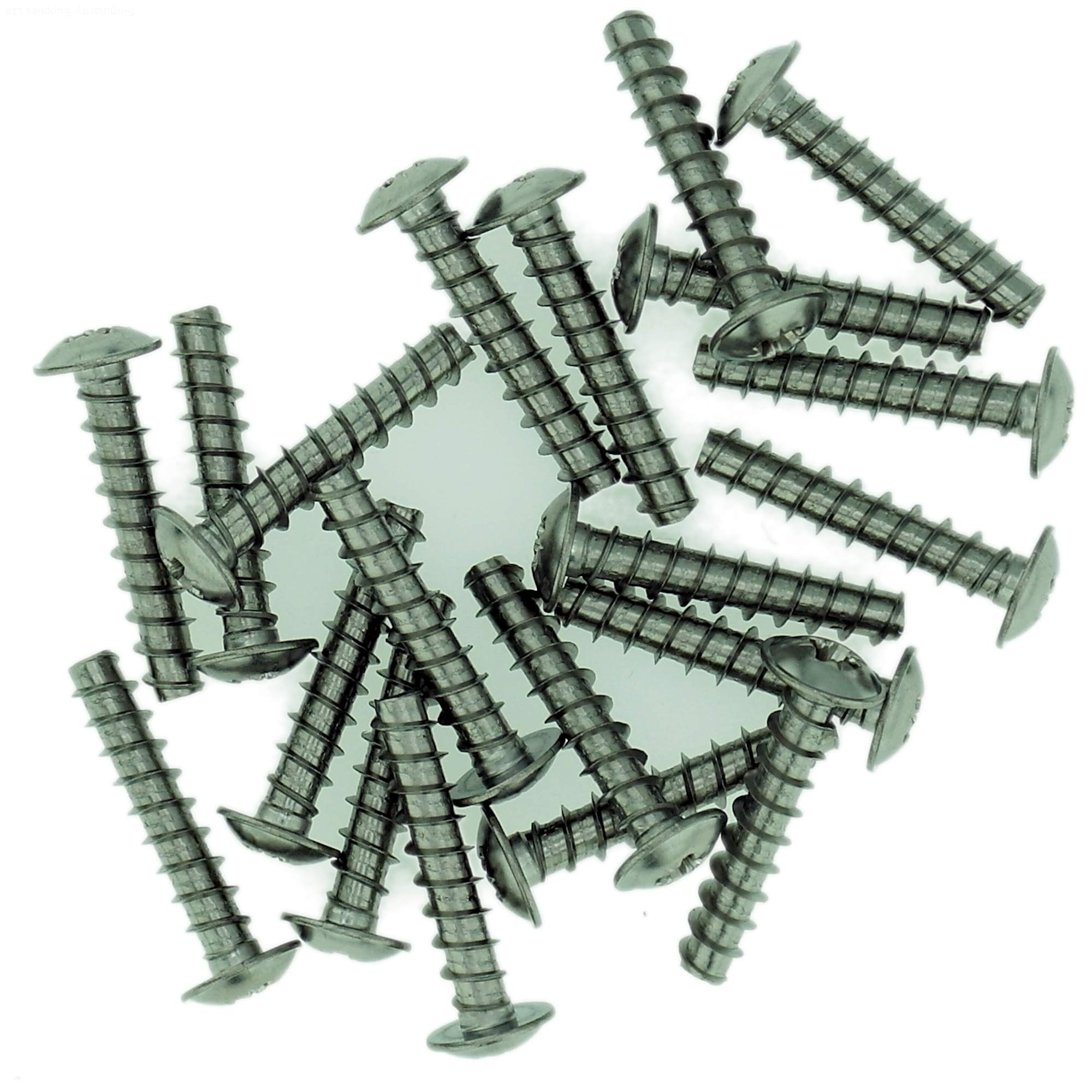 D5 5mm X 20mm Pozi Pan Screws For Plastic Flanged | Desertcart INDIA