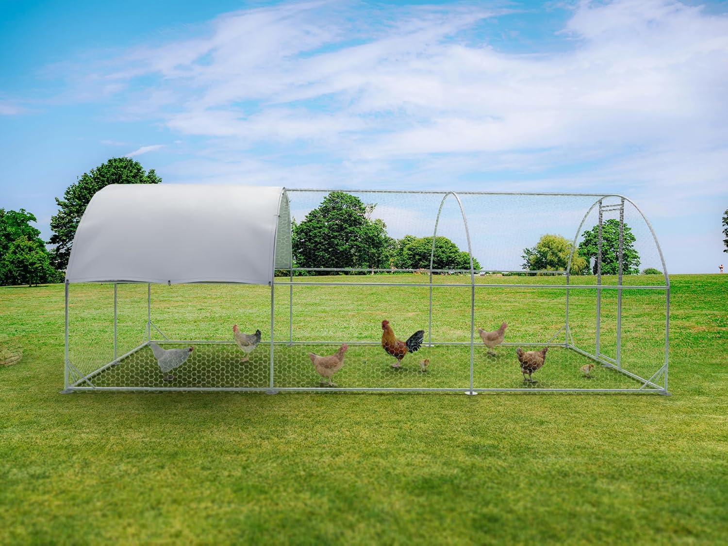 Amazon.com: Large Metal Chicken Coop,Outdoor Chicken Coop Run Chicken ...