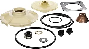 Amazon.com : Pentair PP1013 Seal Gasket Replacement Kit Sta-Rite Pool ...