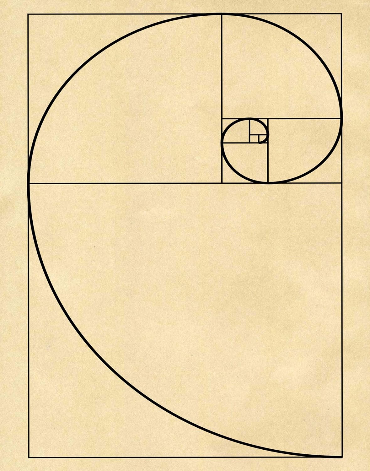 Amazon.com: Math Art Print - Fibonacci Golden Spiral / Gift & Decor For ...
