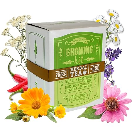 Amazon.com : Herbal Tea Seeds Variety Pack - 10 Medicinal Herbs Seed ...