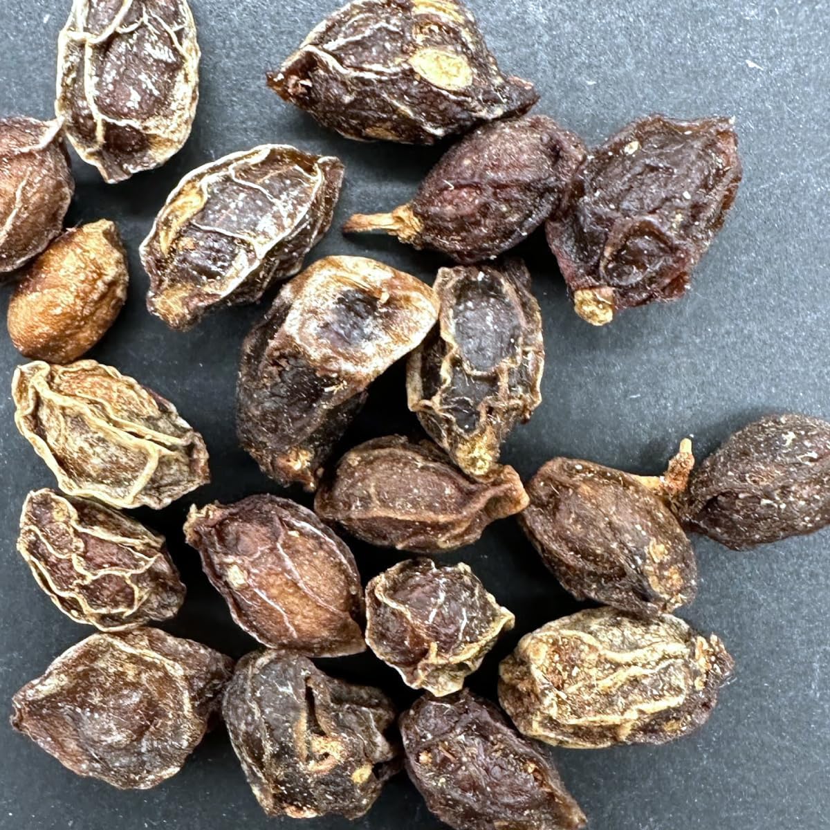 Amazon｜【種子】キフォステンマ・クローリー(果実付き) 3s Cyphostemma currori｜観葉植物 オンライン通販