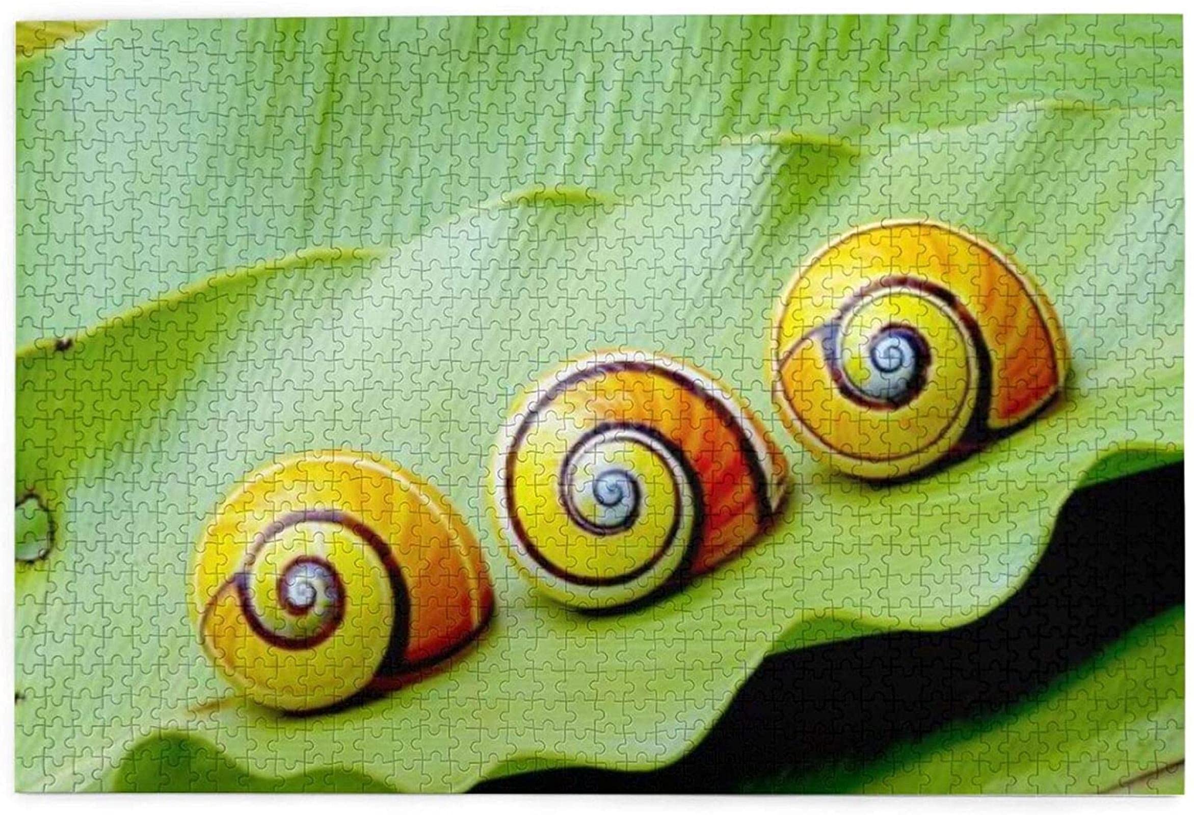 Naturally Colorful Snails
