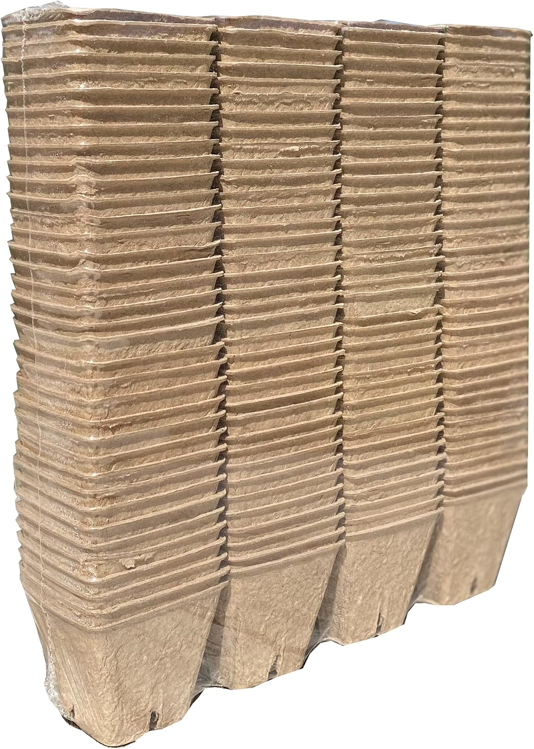 Amazon.com: 144 x 5cm Eco Square Fibre Biodegradable and Compostable ...