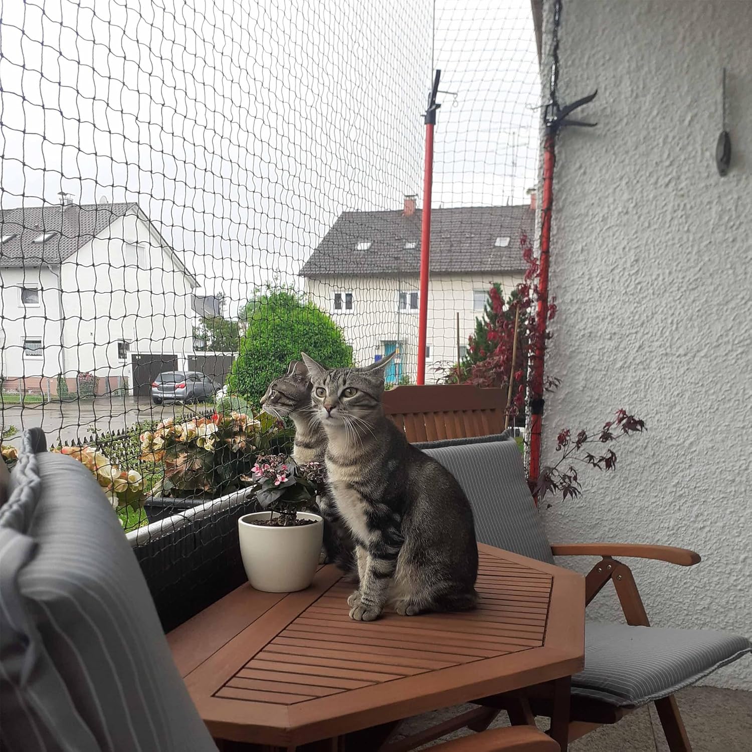 Cat Balcony Net, Cat Balcony Fence for Pets, Cat Netting Anti-Fall ...