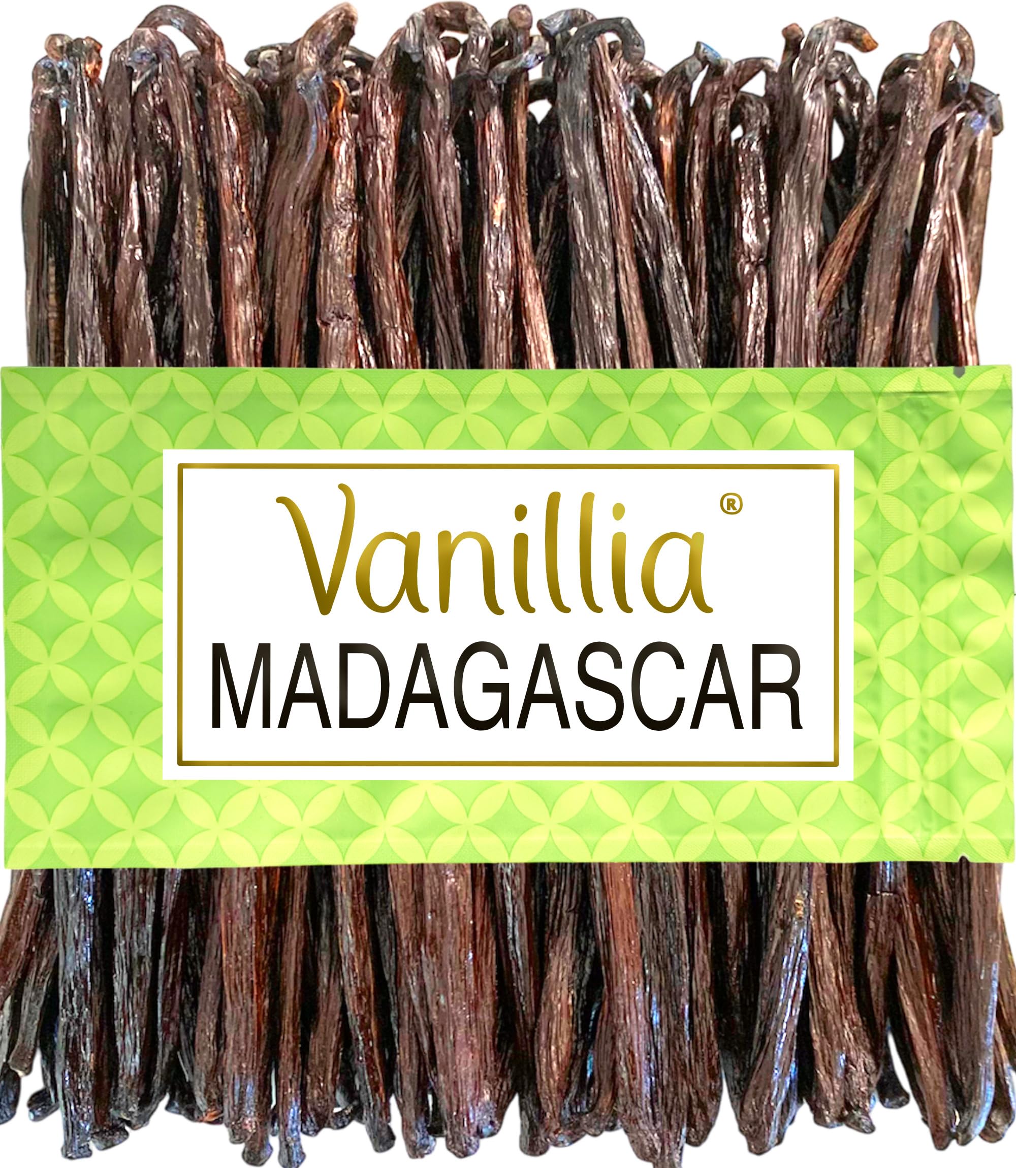 VANILLIA • 15 XL-Bourbon-Vanilleschoten aus Madagaskar • Grand-Cru ...