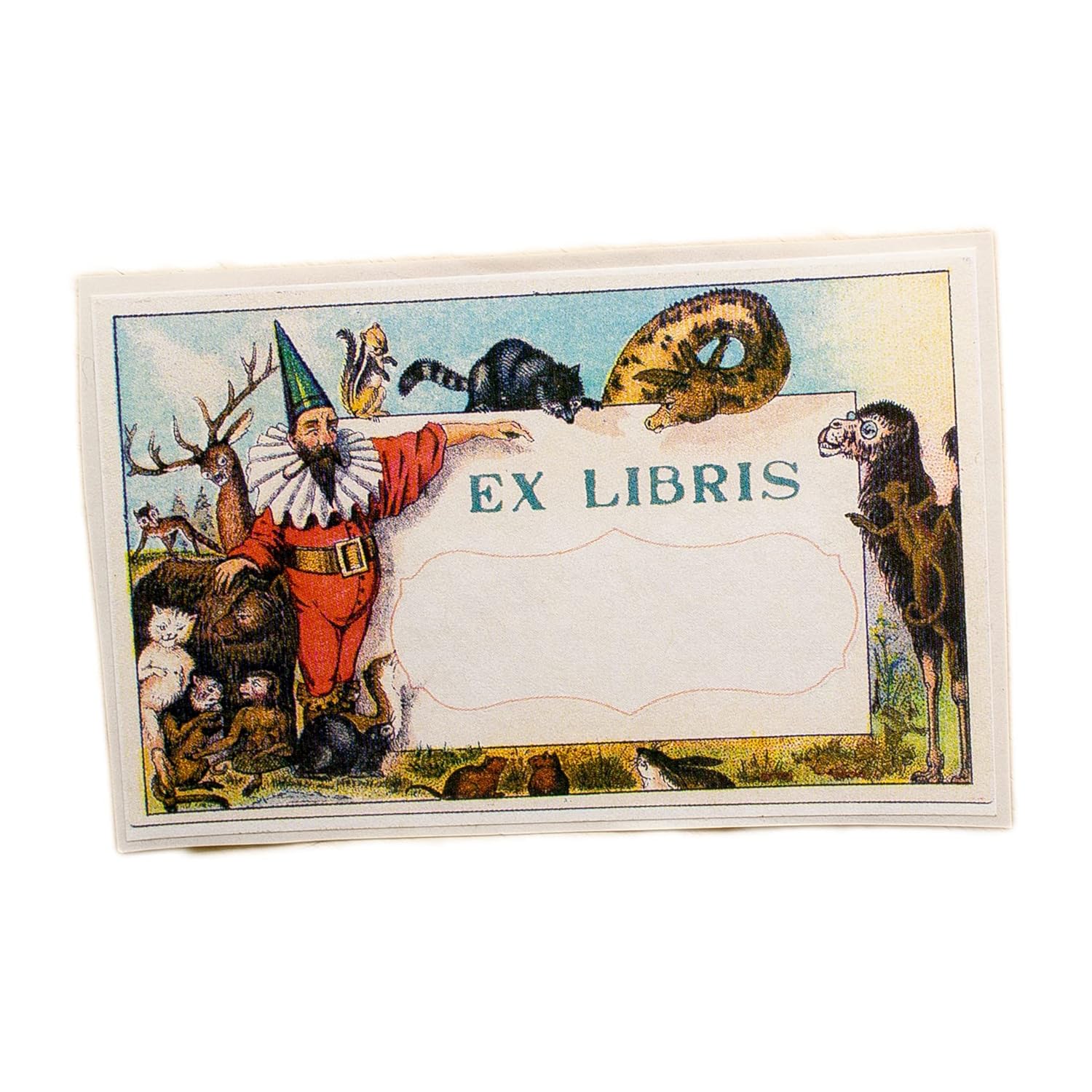 Amazon.com: Animal Bookplates for Childrens Books, Set of 10, Self ...