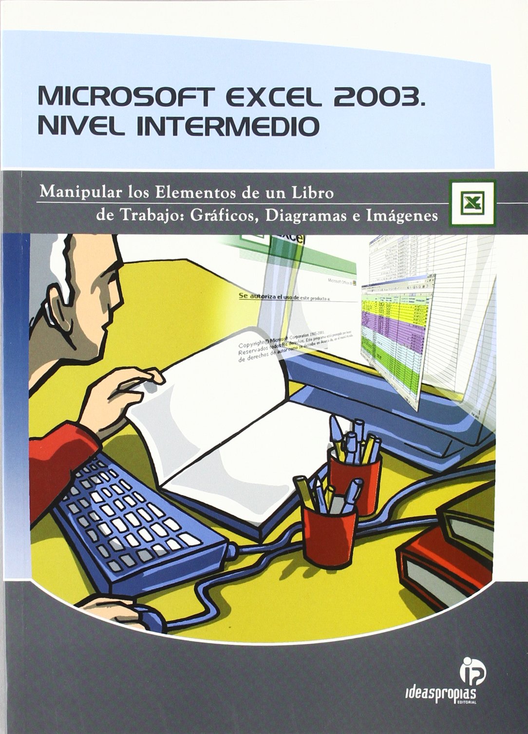 Buy Microsoft Excel 2003 Nivel Intermedio / Microsoft Excel 2003 ...