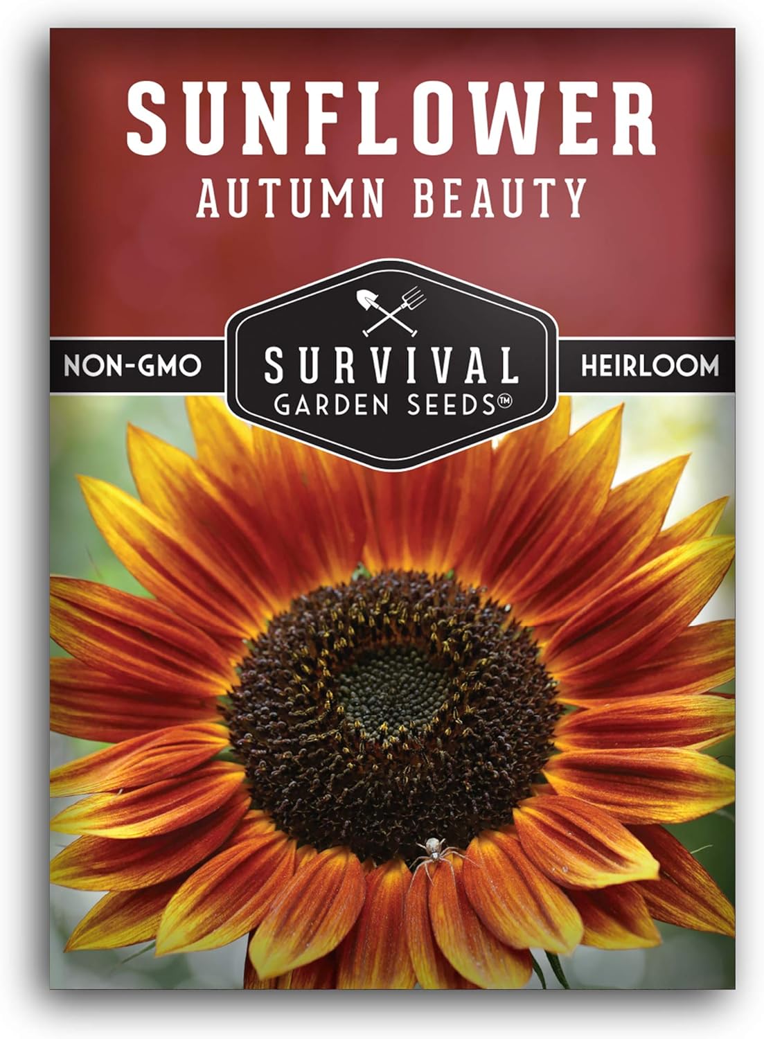 Amazon.com : Autumn Beauty Sunflower Seeds for Planting | Vibrant Multi ...