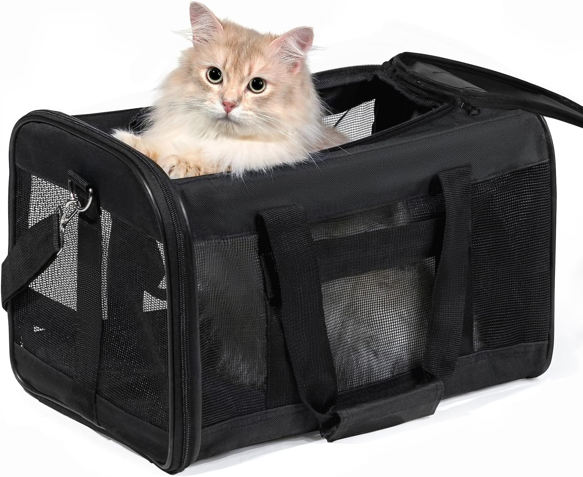 Airline Approved Soft-Sided Folding Pet Carrier, Hand Carry Portable ...
