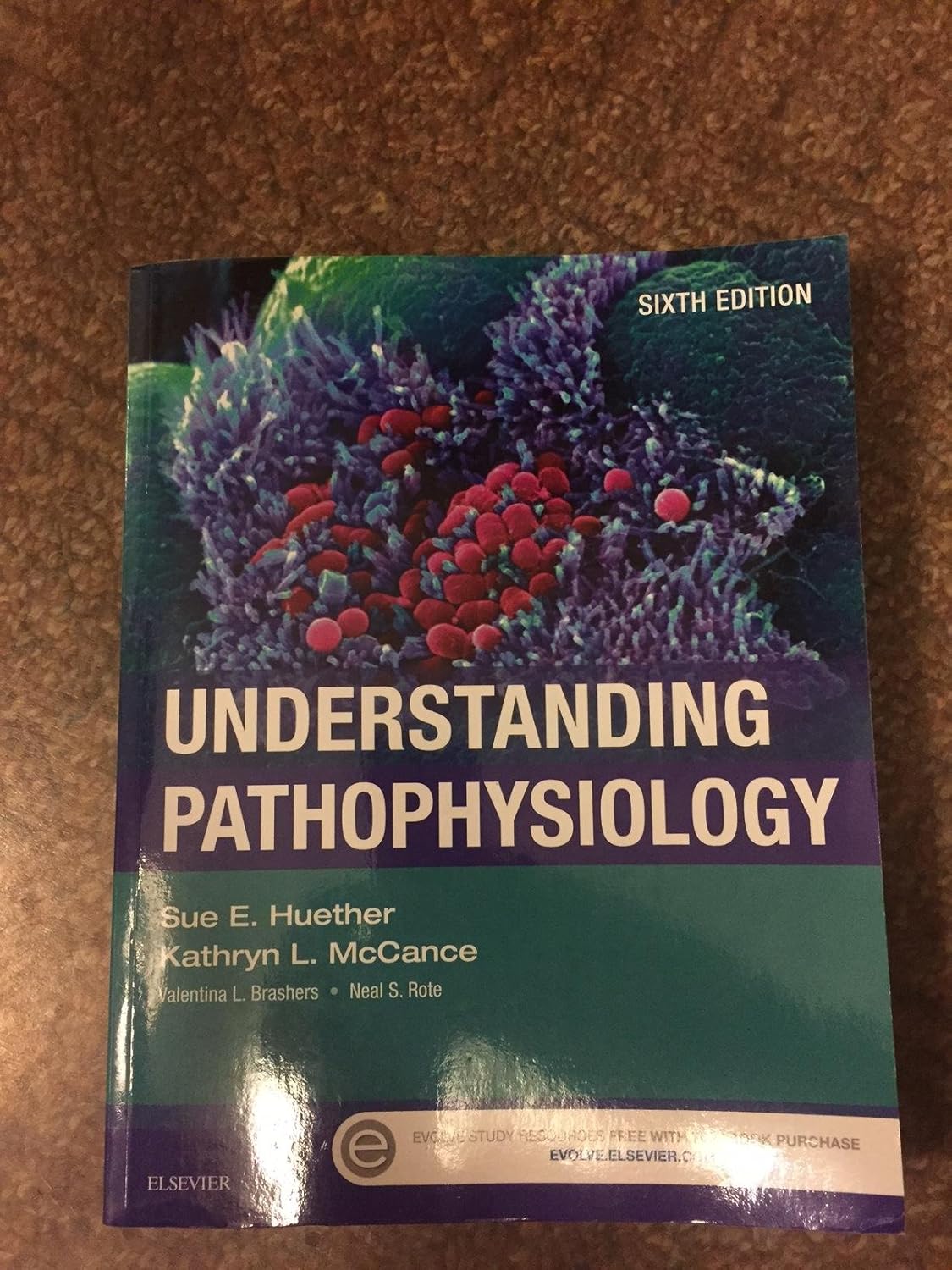 Understanding Pathophysiology : Huether, Sue E., McCance, Kathryn L ...