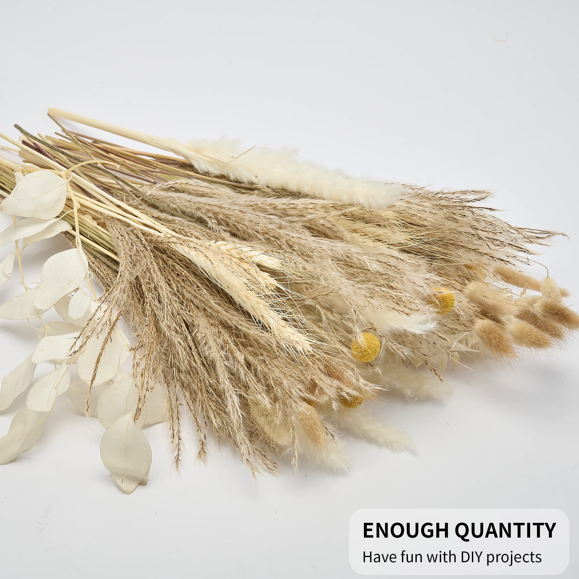 Snapklik.com : Natural Dried Flowers Decor - 88Pcs 17.5" Fluffy Pampas ...