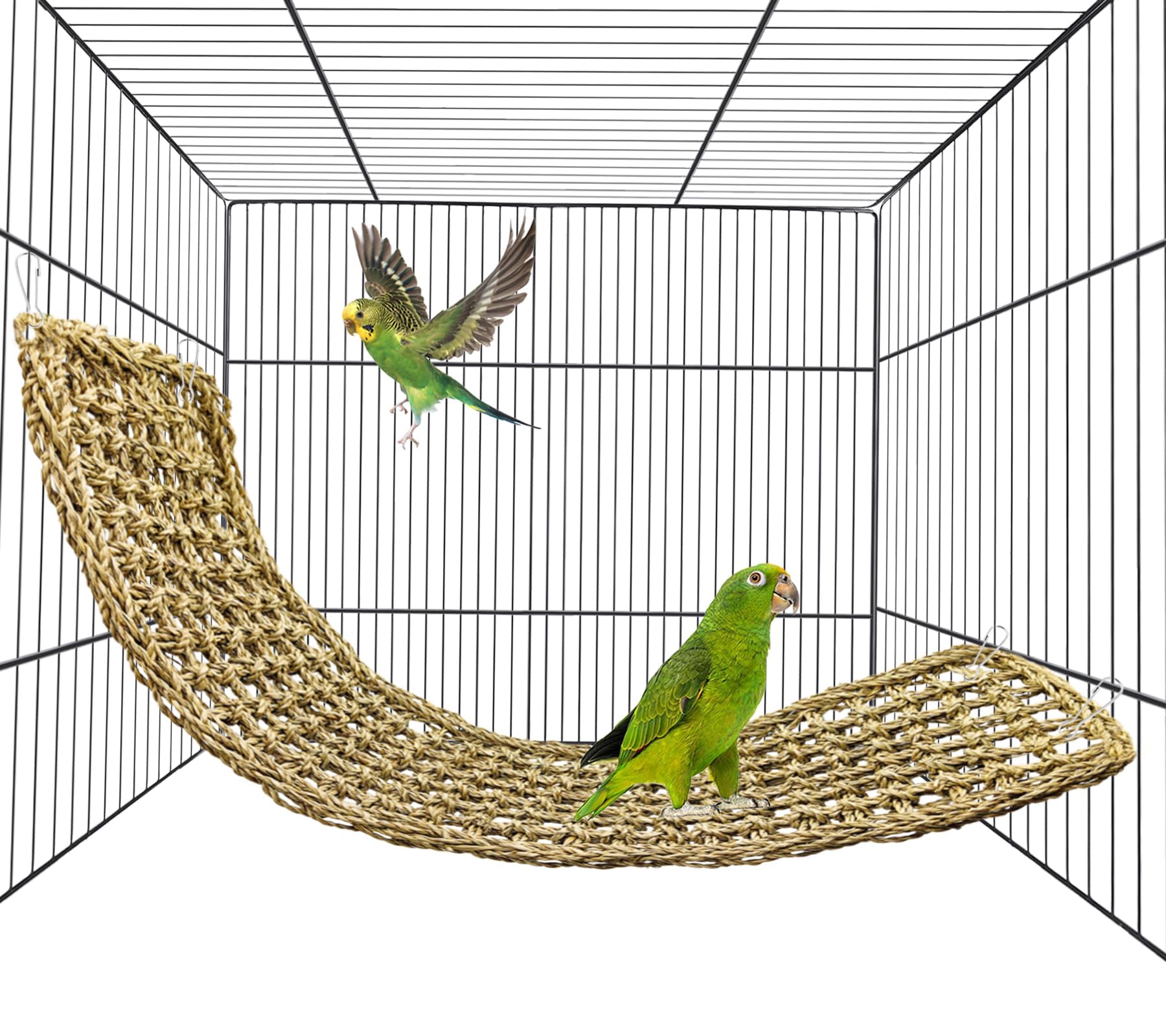 Snapklik.com : Bird Seagrass Mat 29.5" 7" Parrot Natural Grass Woven ...