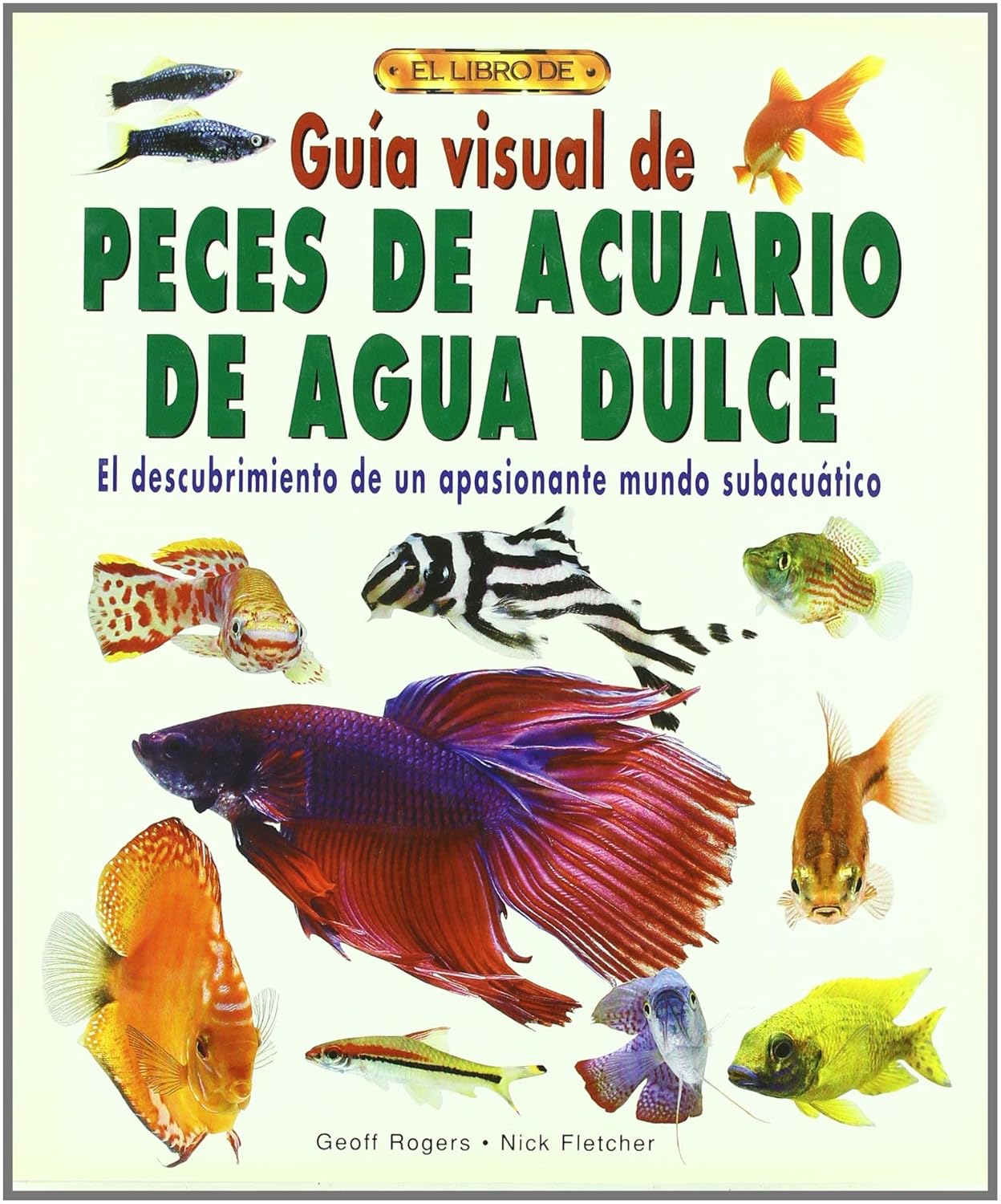 GUÍA VISUAL DE PECES DE ACUARIO DE AGUA DULCE: Rogers, Geoff ...