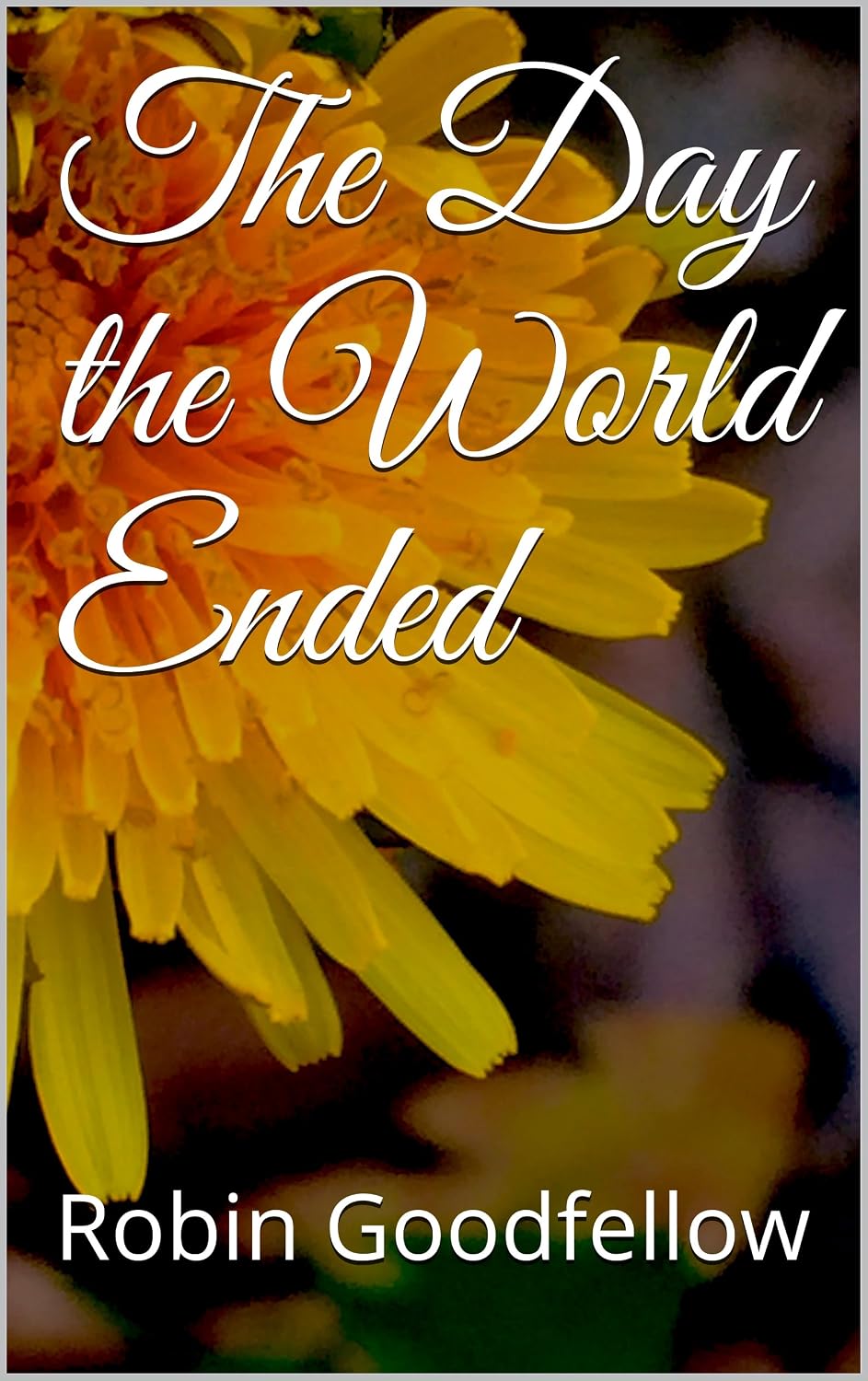 Amazon.com: The Day the World Ended eBook : Goodfellow, Robin: Books
