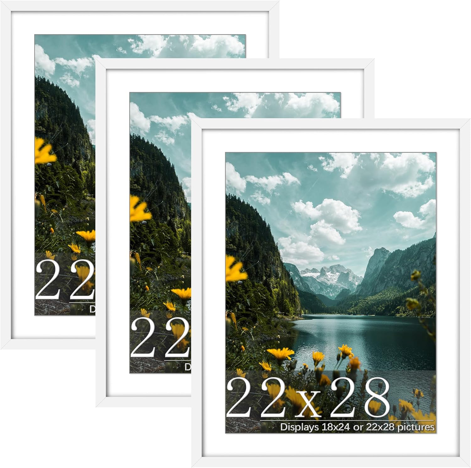 Amazon.com - Picrit 22x28 Frame 3 Pack, White Poster Frame, Display ...