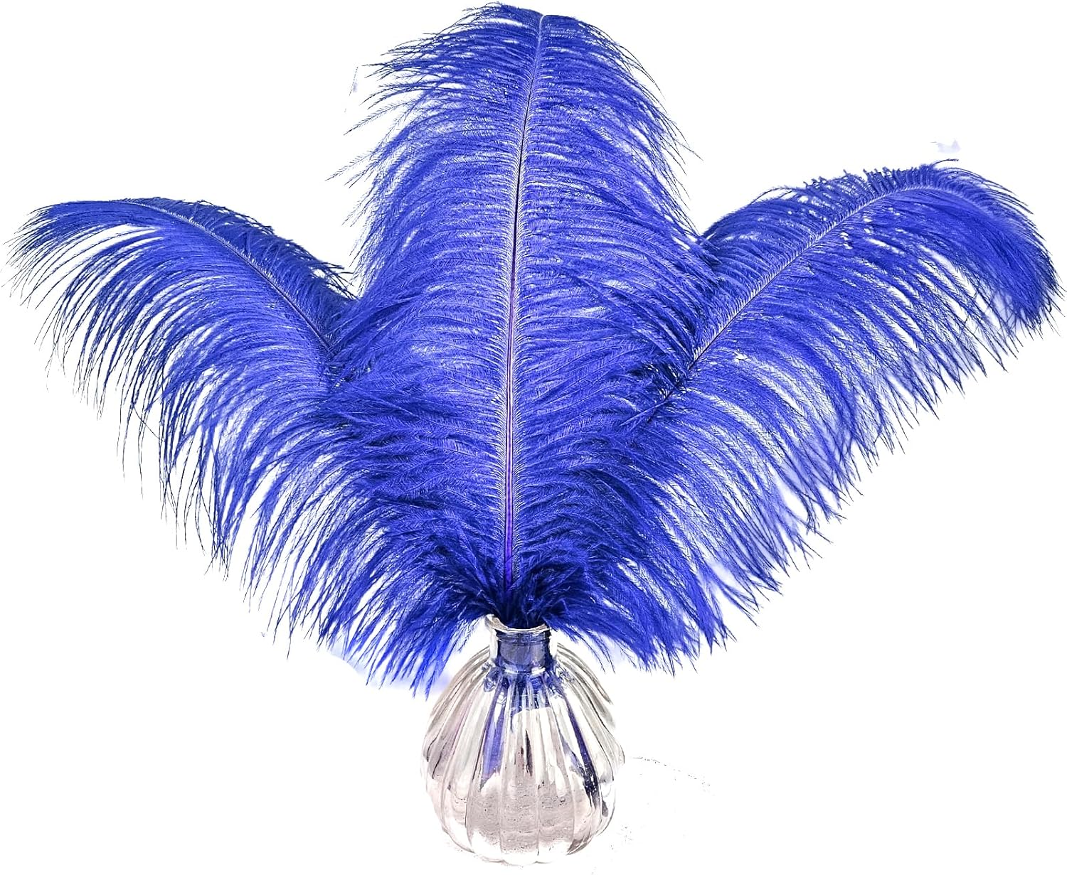 Amazon.com: Happy Feather 16-18 inch Royal Blue Ostrich Feathers Craft ...