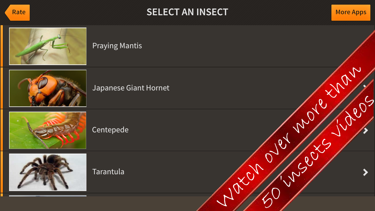 Insect At War - App on Amazon Appstore