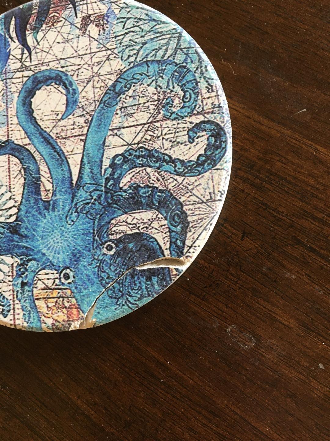 Amazon.com: Lankony Sea Life Coasters for Drinks - Absorbent Stone ...