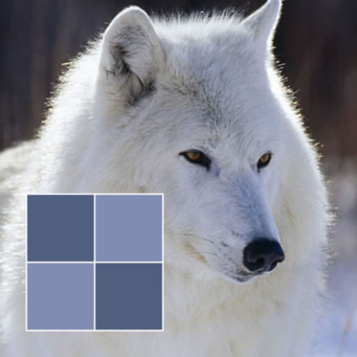 Animals Memory Game - App on Amazon Appstore